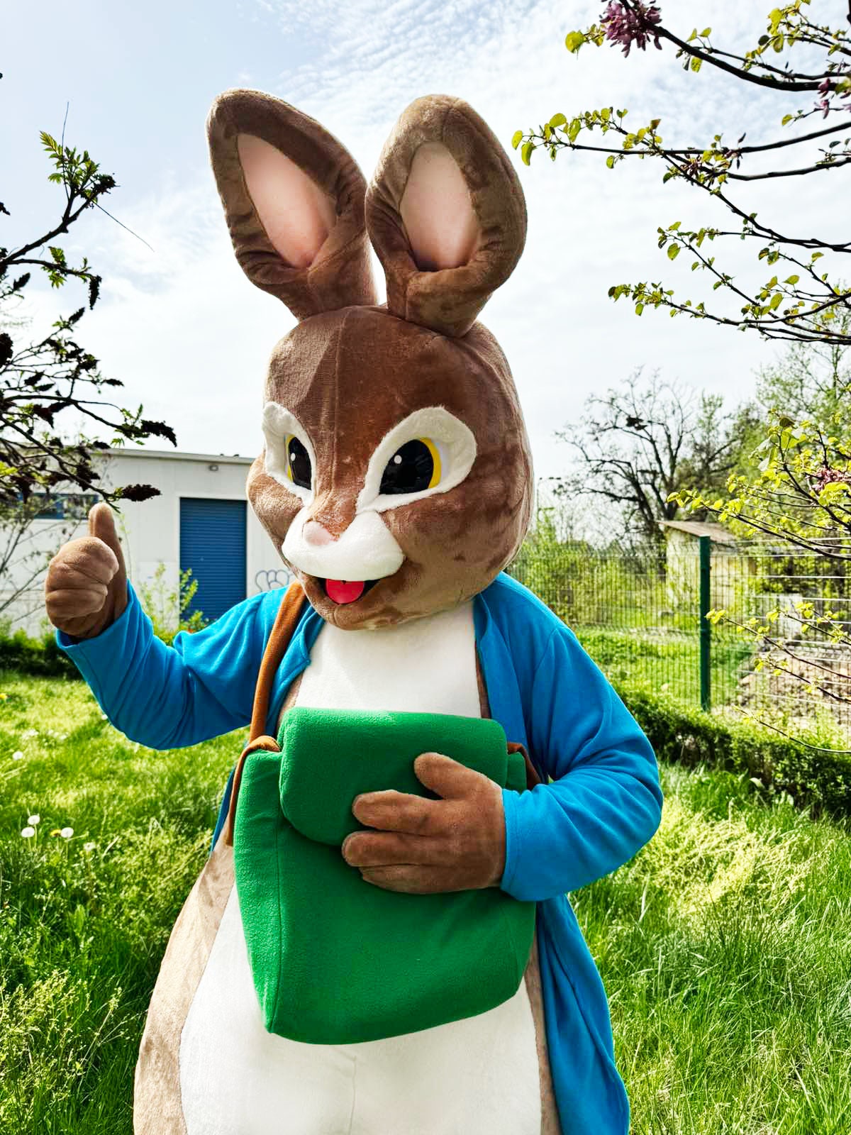 Bunny Pit Mascot Costume, Adult Mascot Costume, Party Mascot Costume ...
