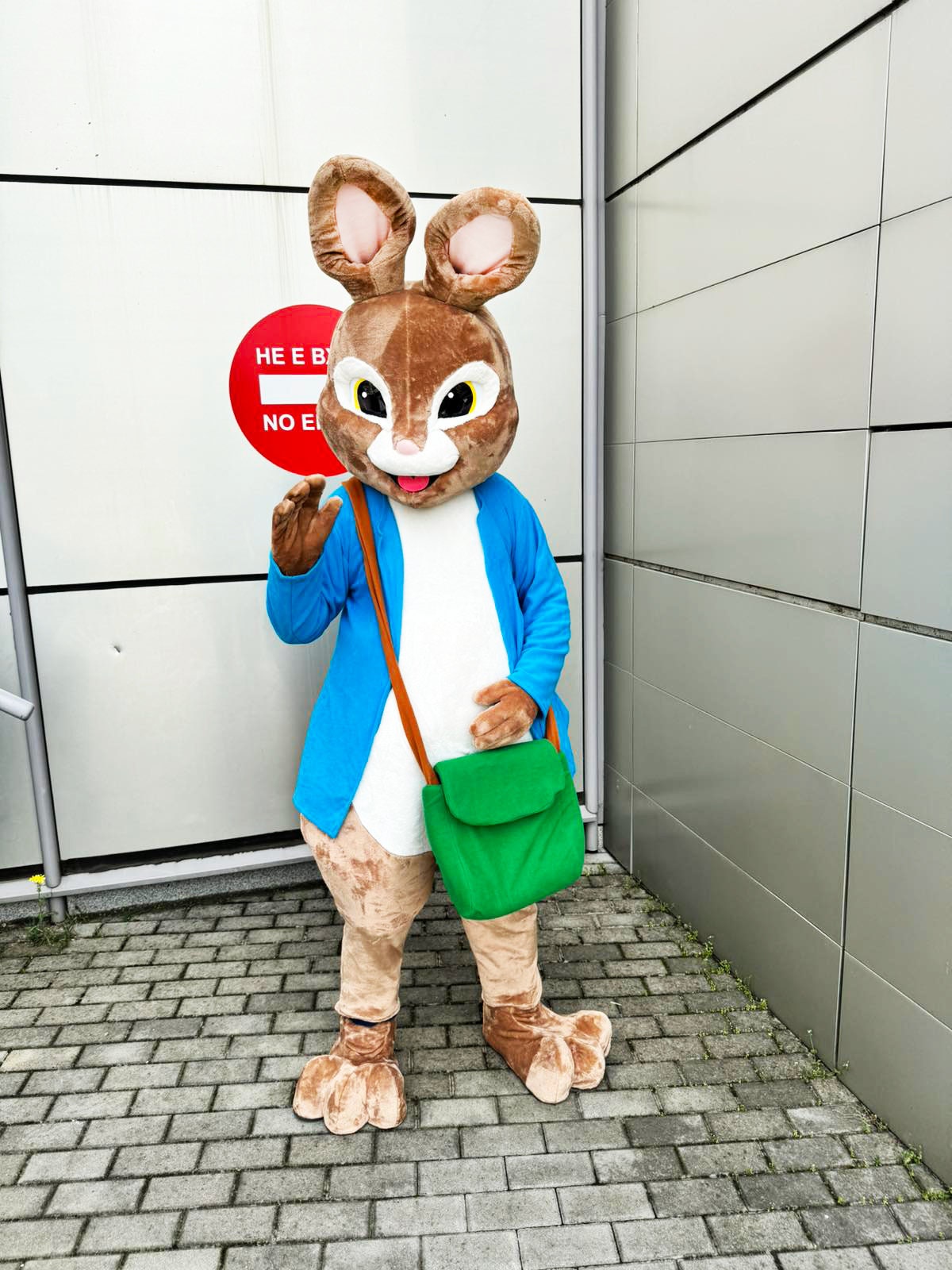 Bunny Pit Mascot Costume, Adult Mascot Costume, Party Mascot Costume ...