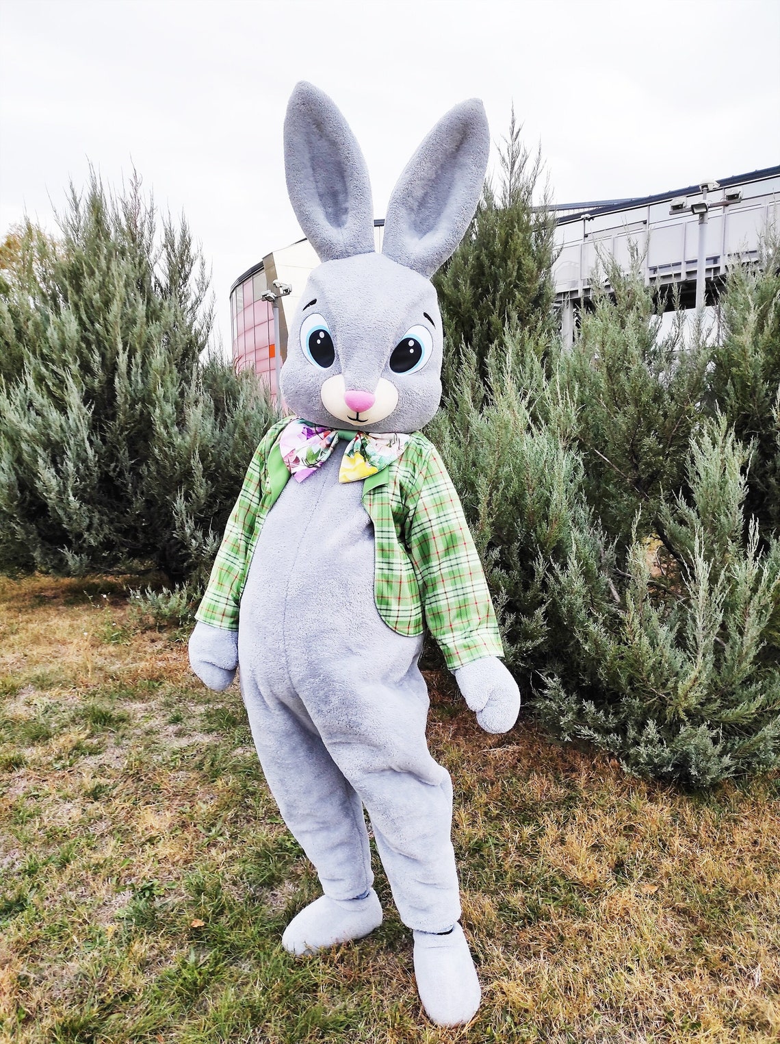 Easter Bunny Mascot Costume Adult Mascot Costume Party - Etsy
