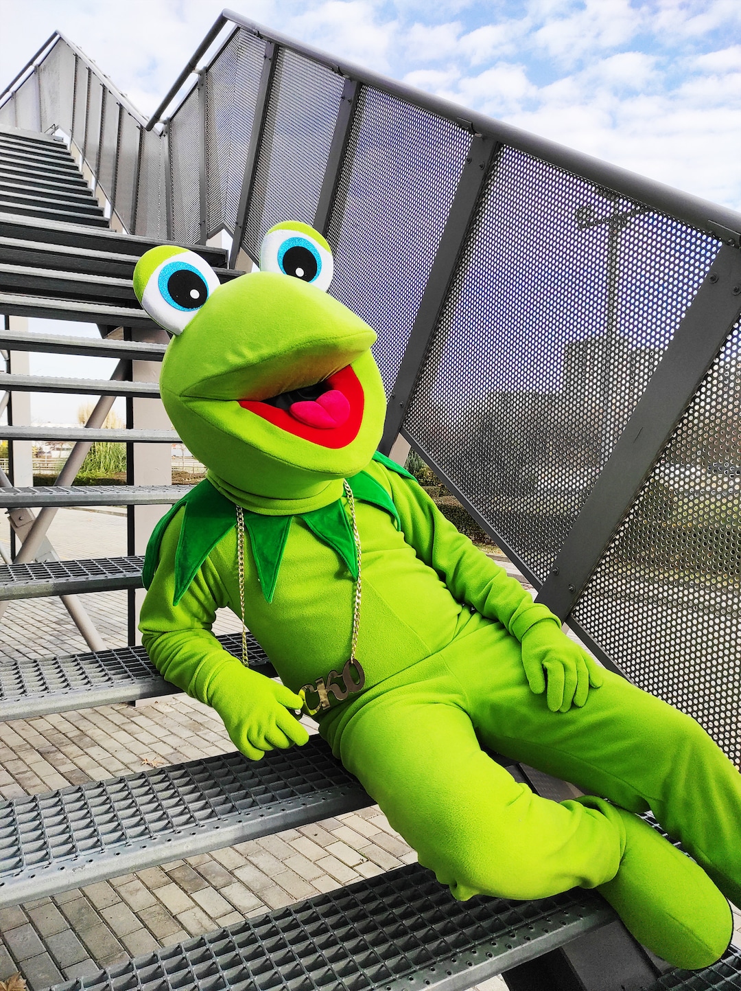 The Frog Mascot Costume, Adult Mascot Costume, Party Mascot Costume ...