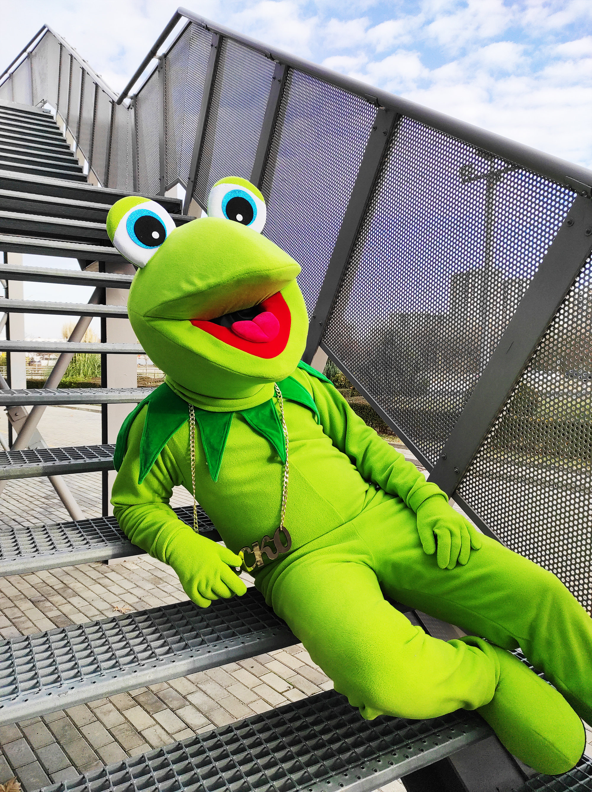 The Frog Mascot Costume, Adult Mascot Costume, Party Mascot Costume ...