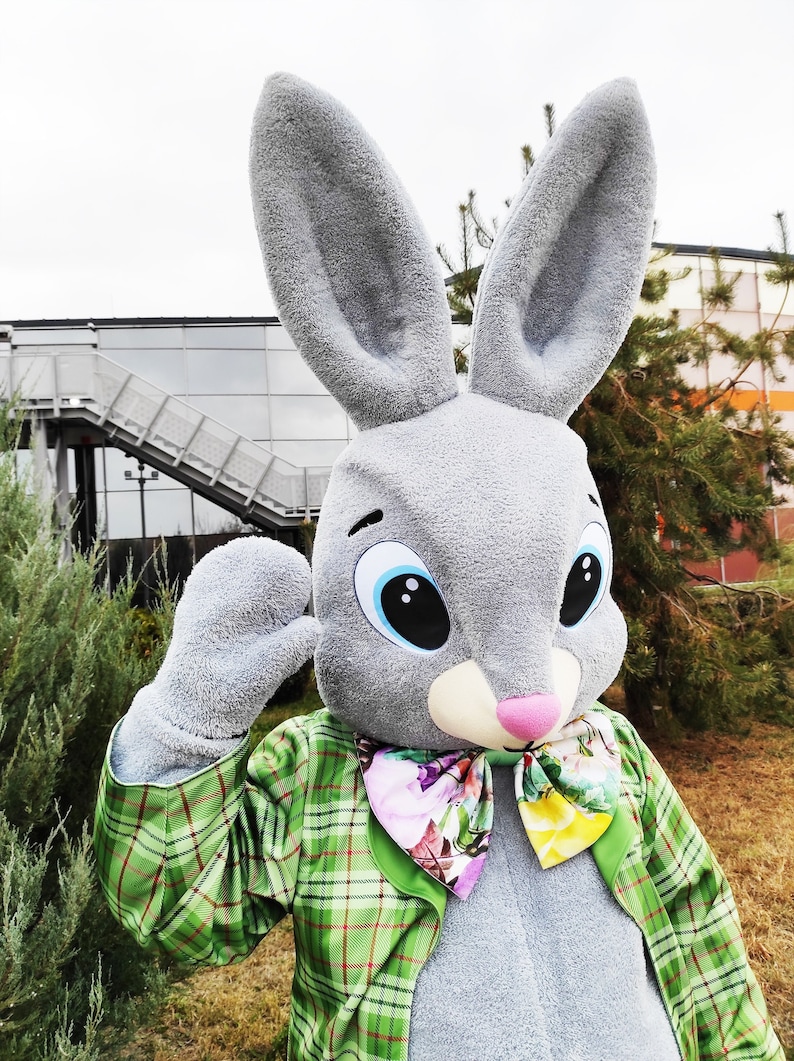 Easter Bunny Mascot Costume, Adult Mascot Costume, Party Mascot Costume ...