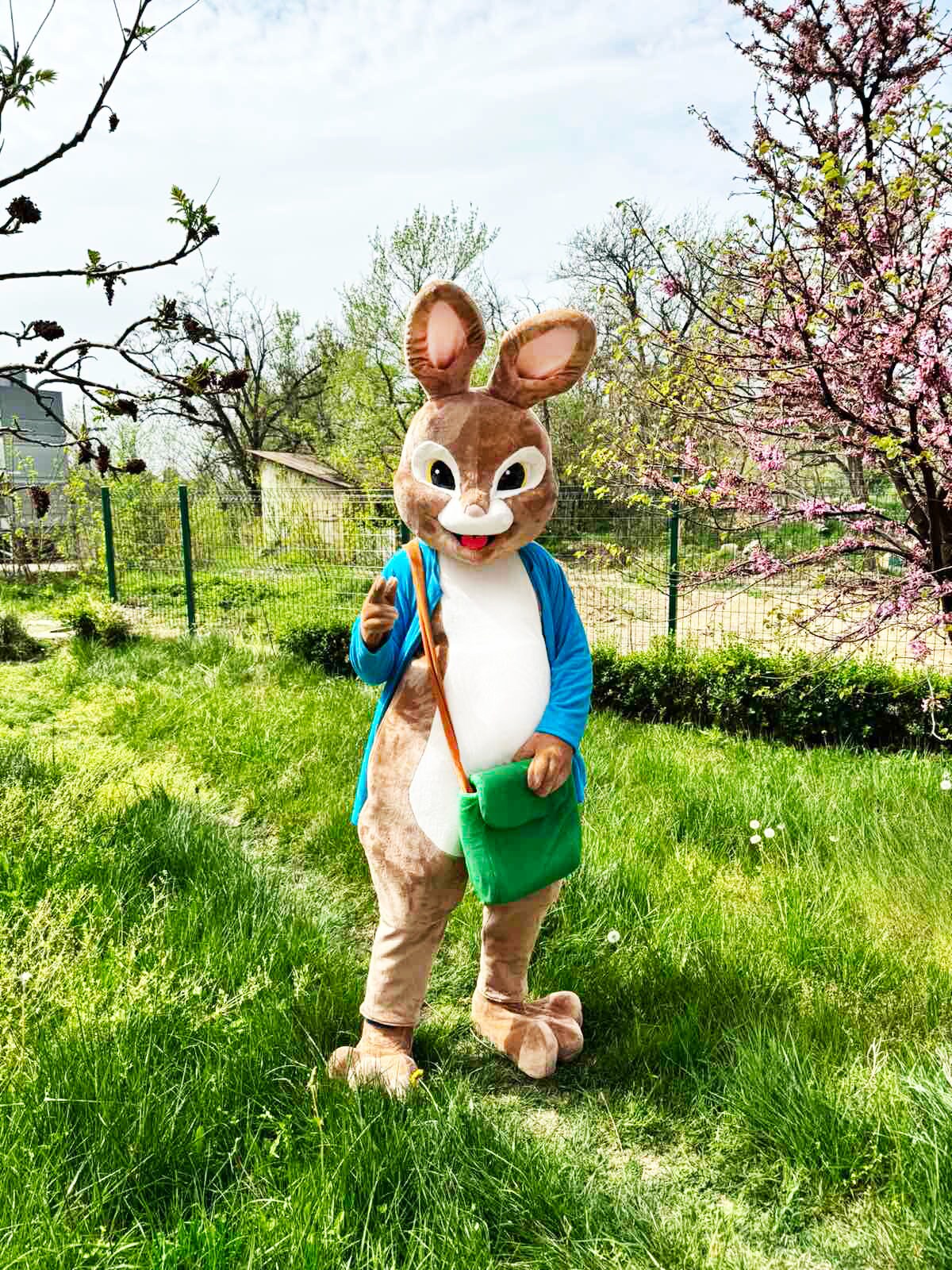 Bunny Pit Mascot Costume, Adult Mascot Costume, Party Mascot Costume ...