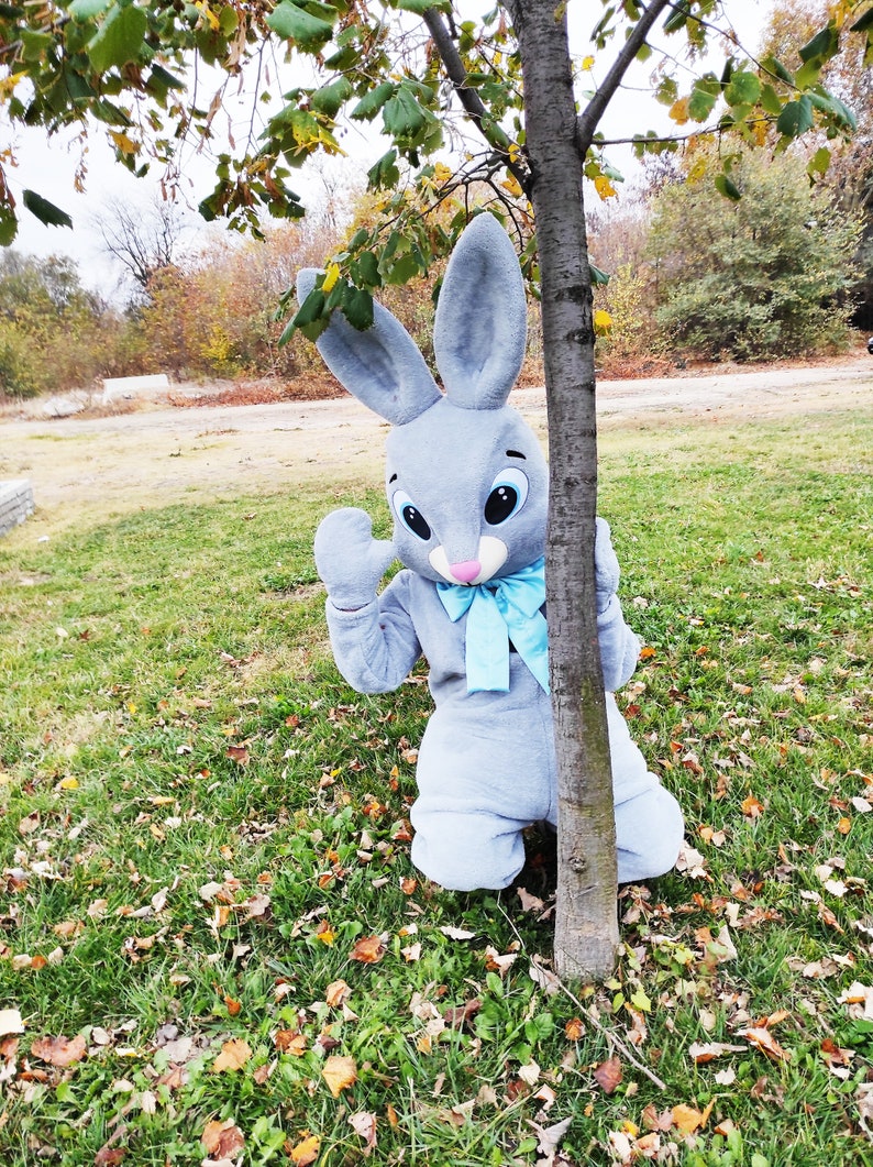 Easter Bunny Mascot Costume Adult Mascot Costume Party - Etsy