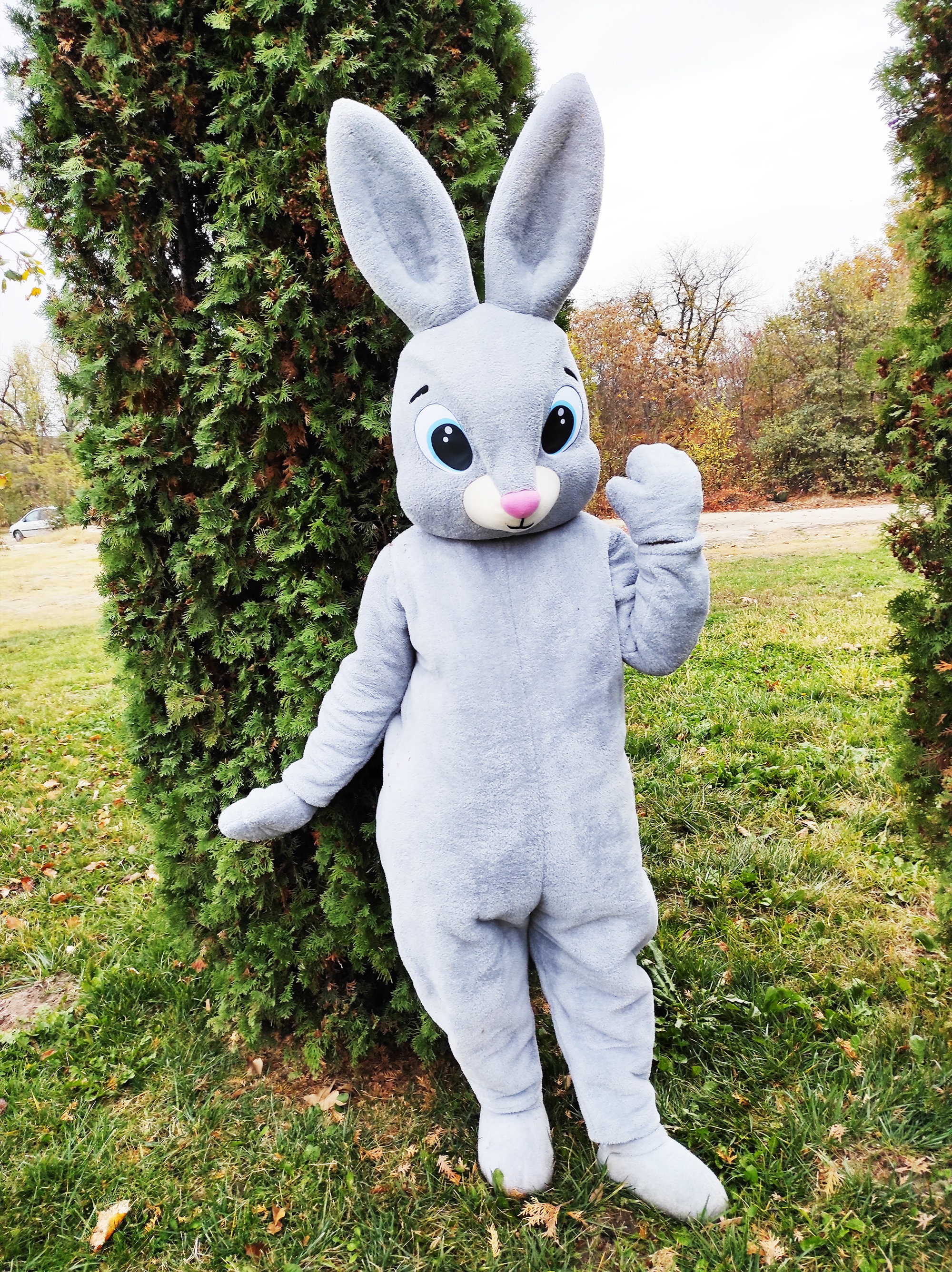 Easter Bunny Mascot Costume Adult Mascot Costume Party Etsy
