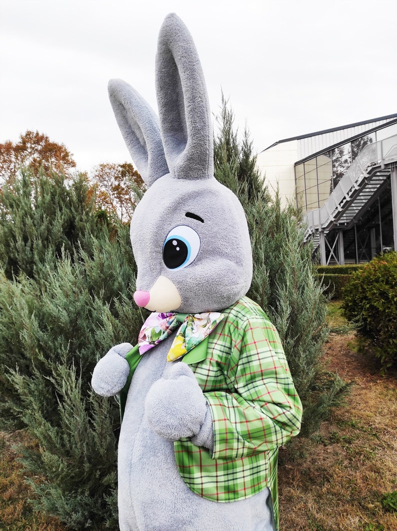 Easter Bunny Mascot Costume Adult Mascot Costume Party - Etsy