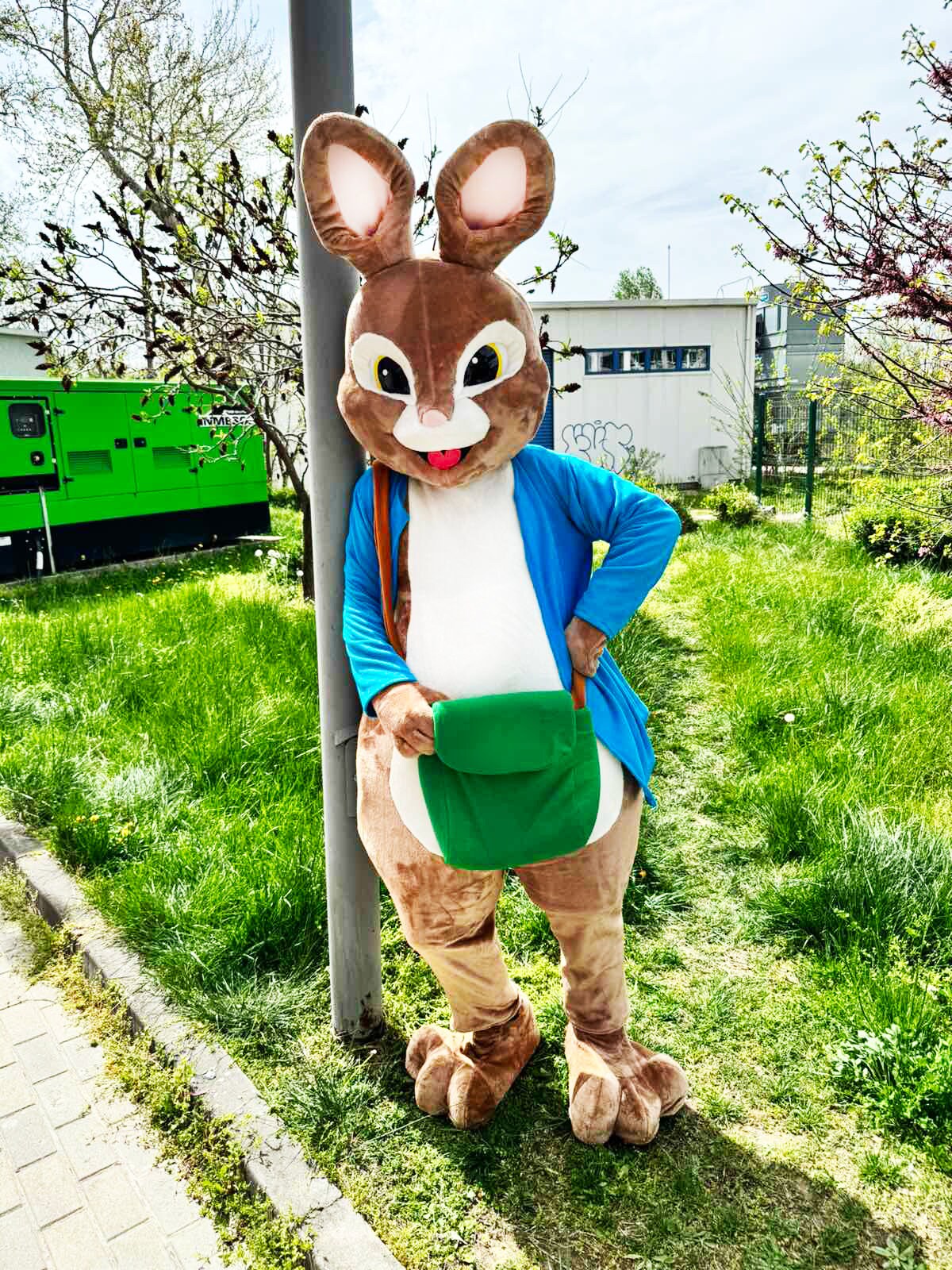 Bunny Pit Mascot Costume, Adult Mascot Costume, Party Mascot Costume ...