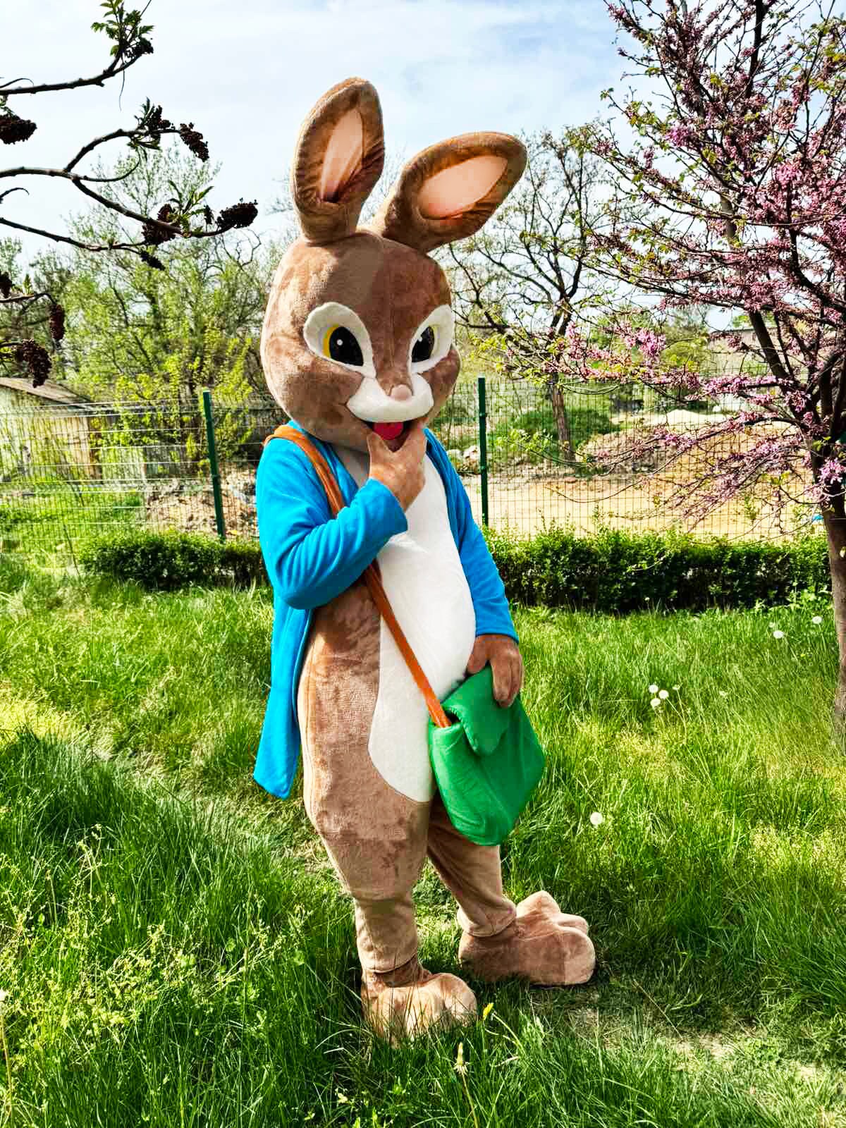 Bunny Pit Mascot Costume, Adult Mascot Costume, Party Mascot Costume ...