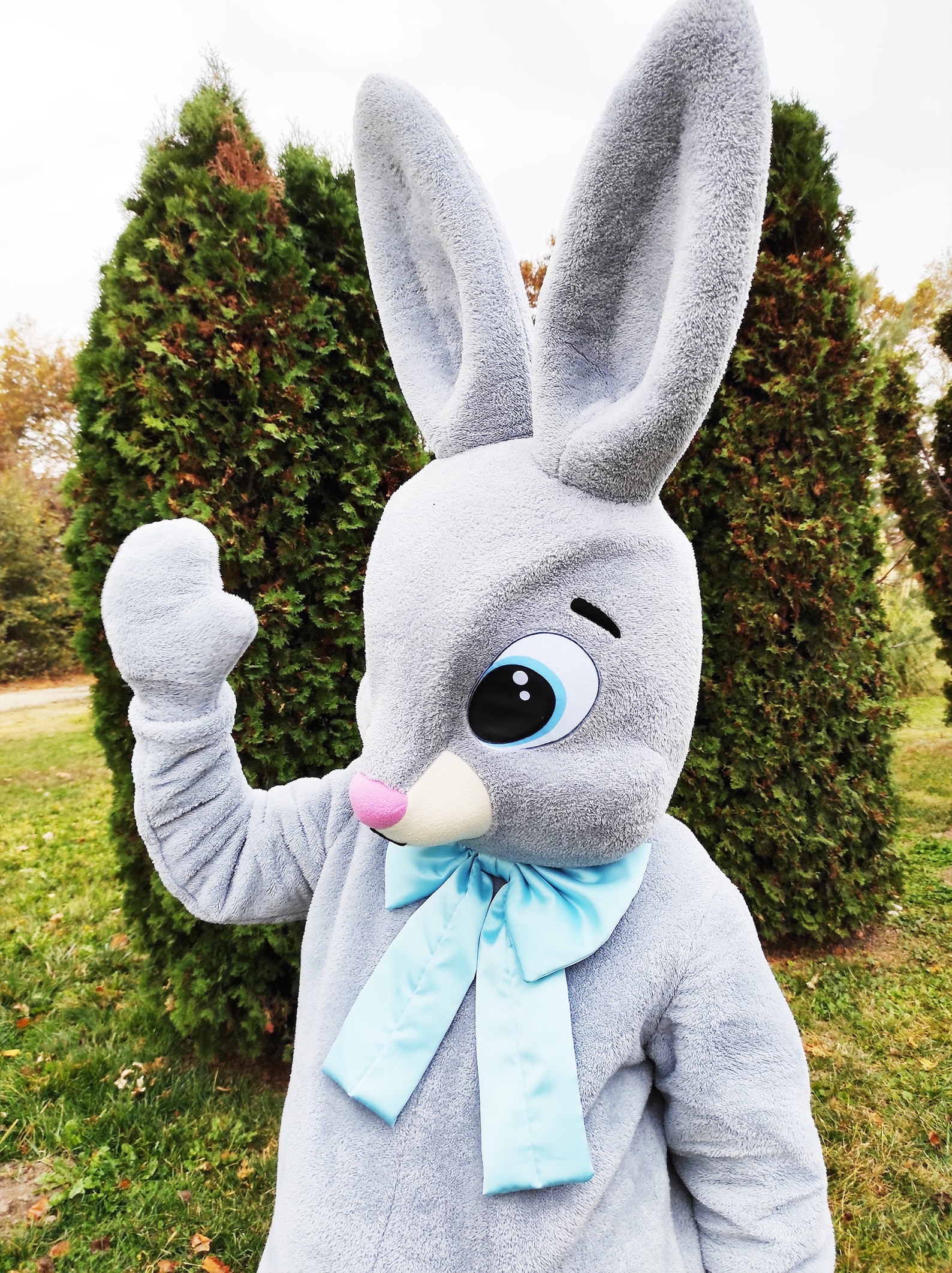 Easter Bunny Mascot Costume Adult Mascot Costume Party - Etsy