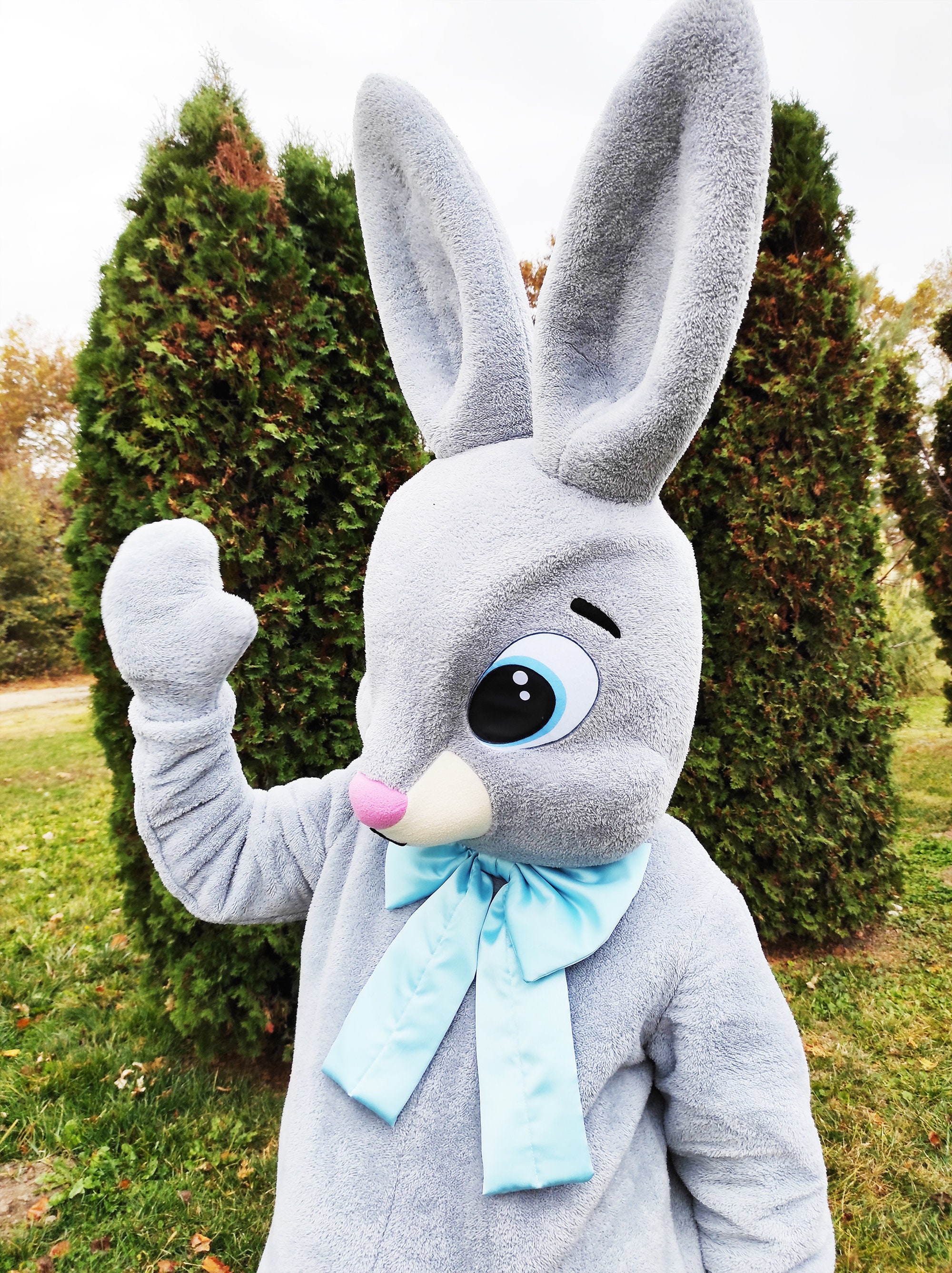 Easter Bunny Mascot Costume Adult Mascot Costume Party - Etsy