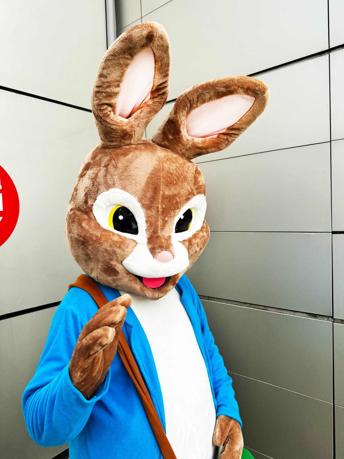 Bunny Pit Mascot Costume, Adult Mascot Costume, Party Mascot Costume ...