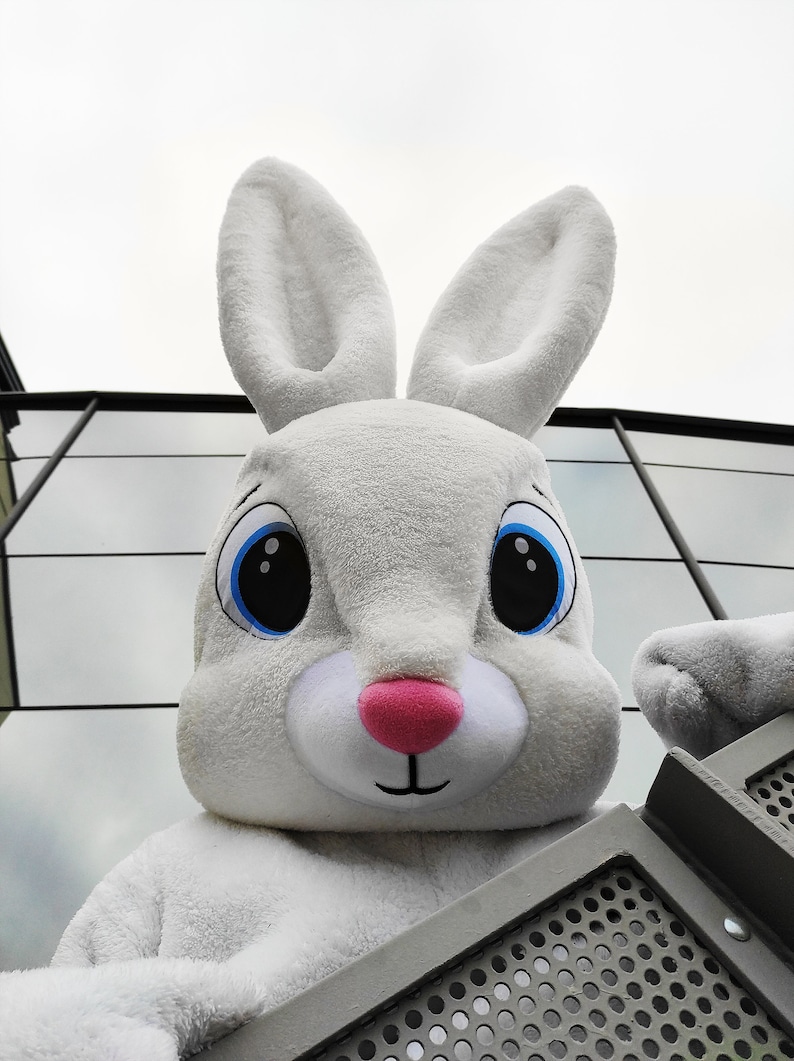 Easter Bunny Mascot Costume Adult Mascot Costume Party - Etsy
