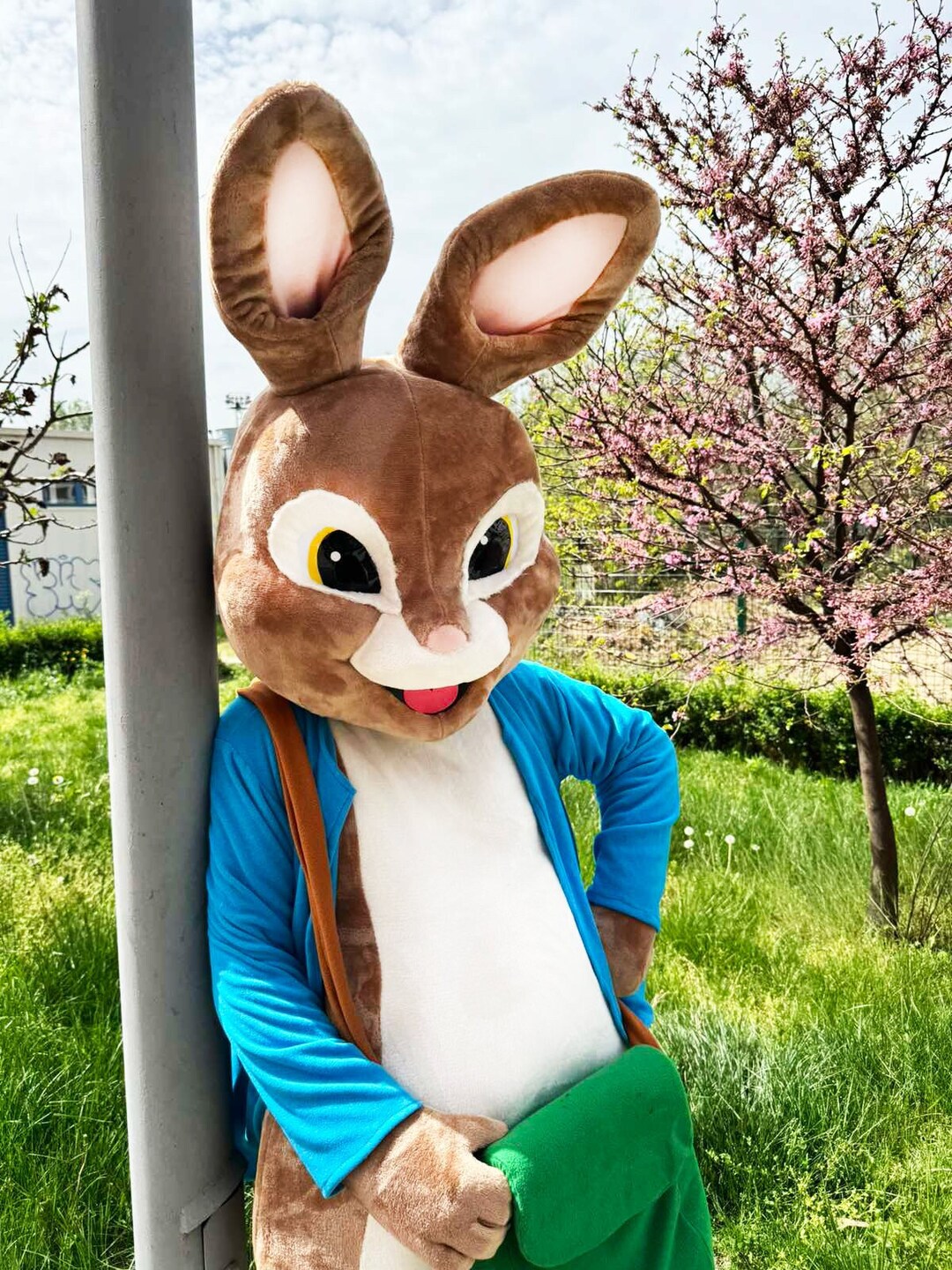 Bunny Pit Mascot Costume, Adult Mascot Costume, Party Mascot Costume ...