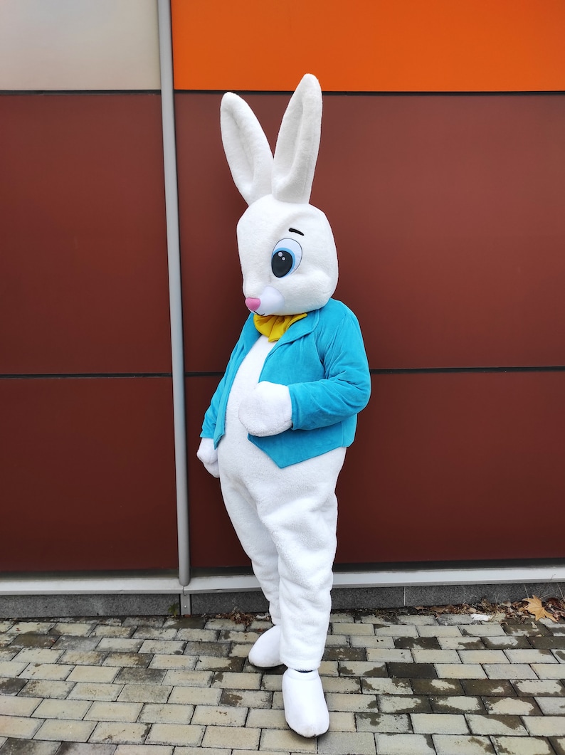 Easter Bunny Mascot Costume Adult Mascot Costume Party - Etsy
