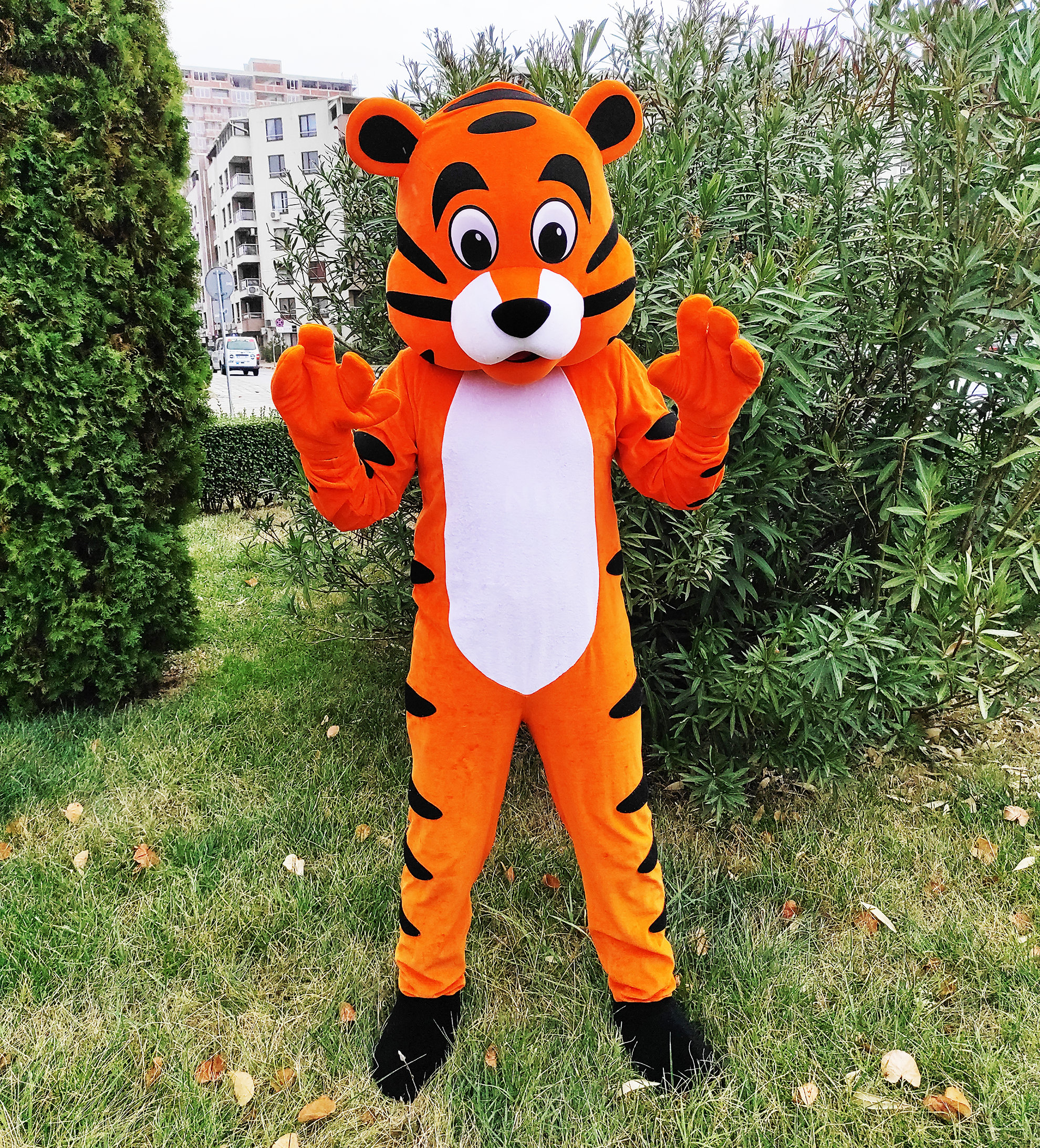 Tiger Head Mascot Costume