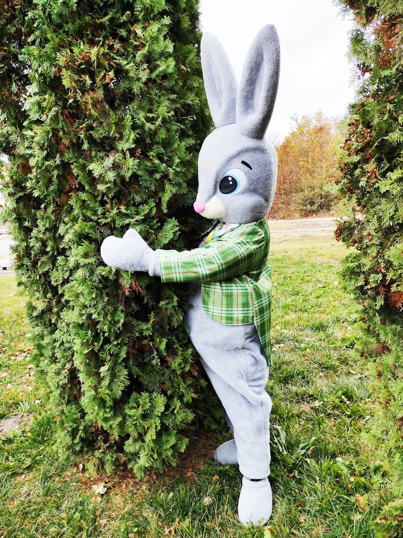 Easter Bunny Mascot Costume Adult Mascot Costume Party - Etsy