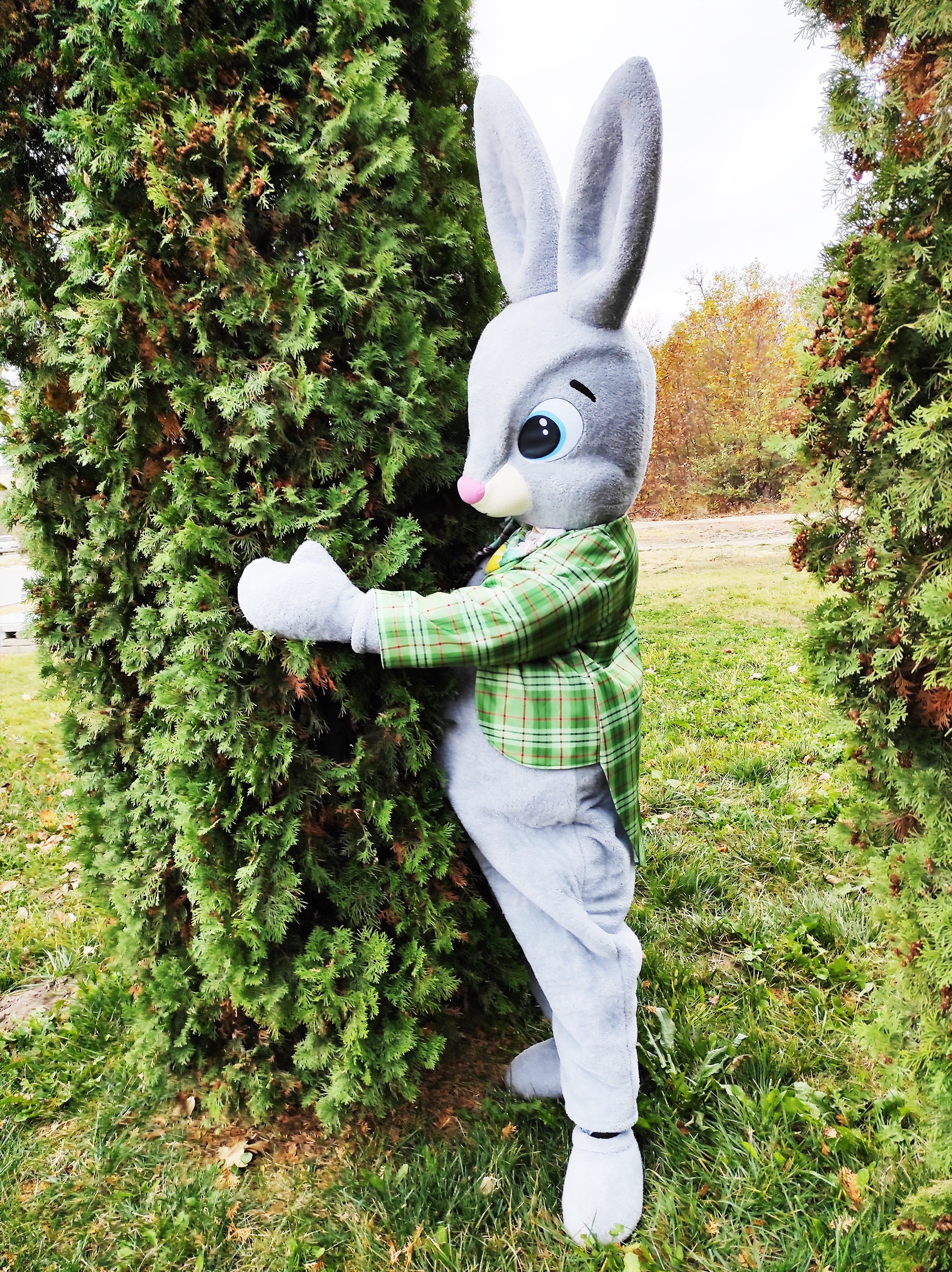 Easter Bunny Mascot Costume Adult Mascot Costume Party - Etsy