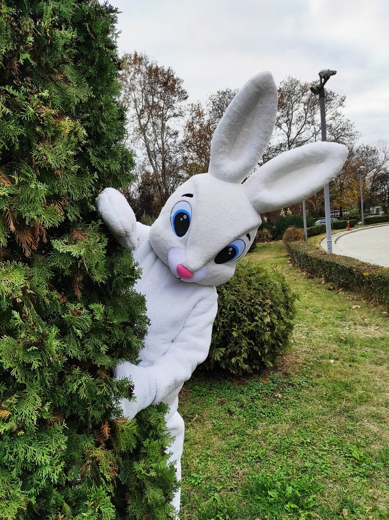 Easter Bunny Mascot Costume Adult Mascot Costume Party - Etsy