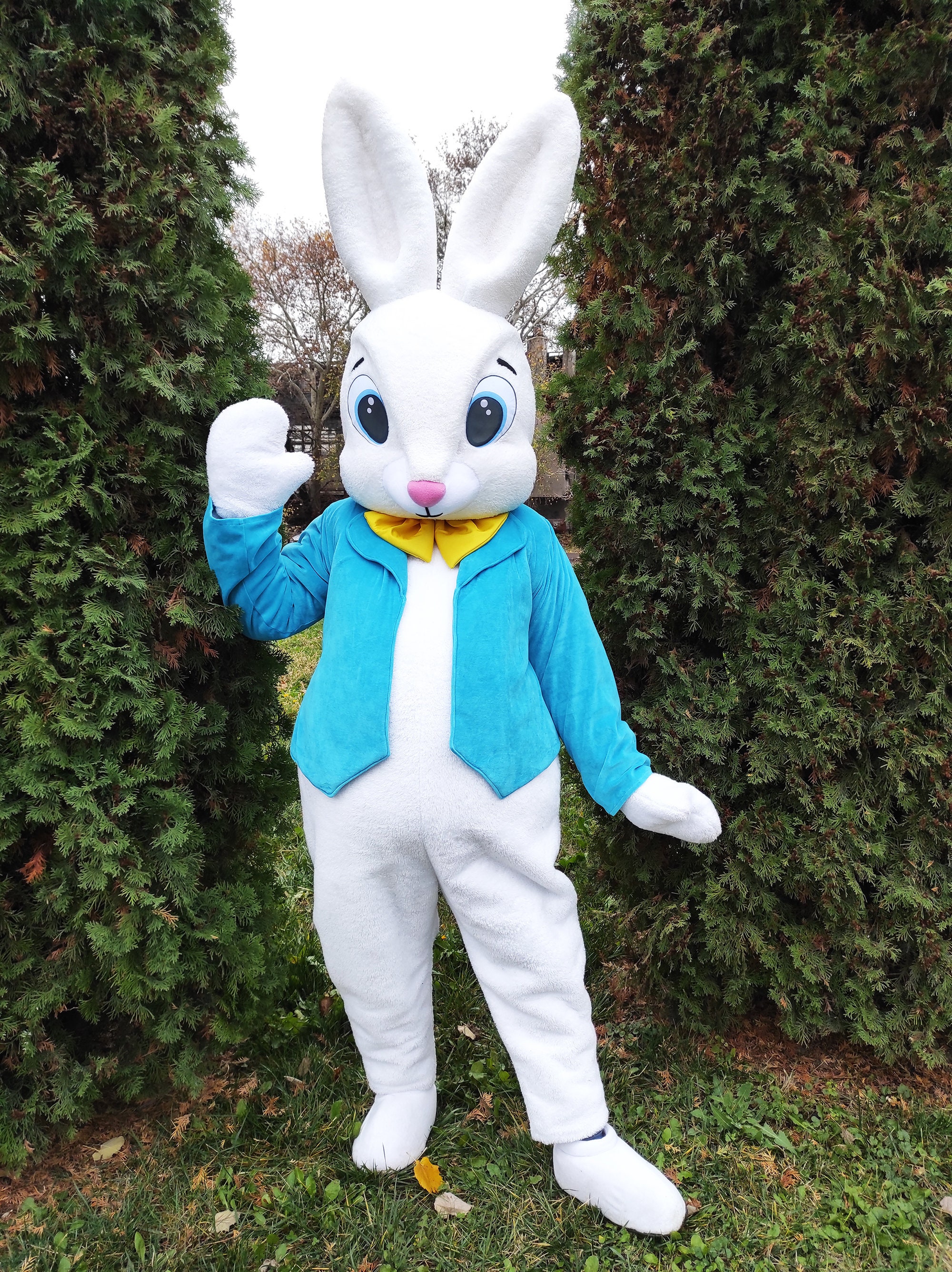 Easter Bunny Mascot Costume, Adult Mascot Costume, Party Mascot Costume ...