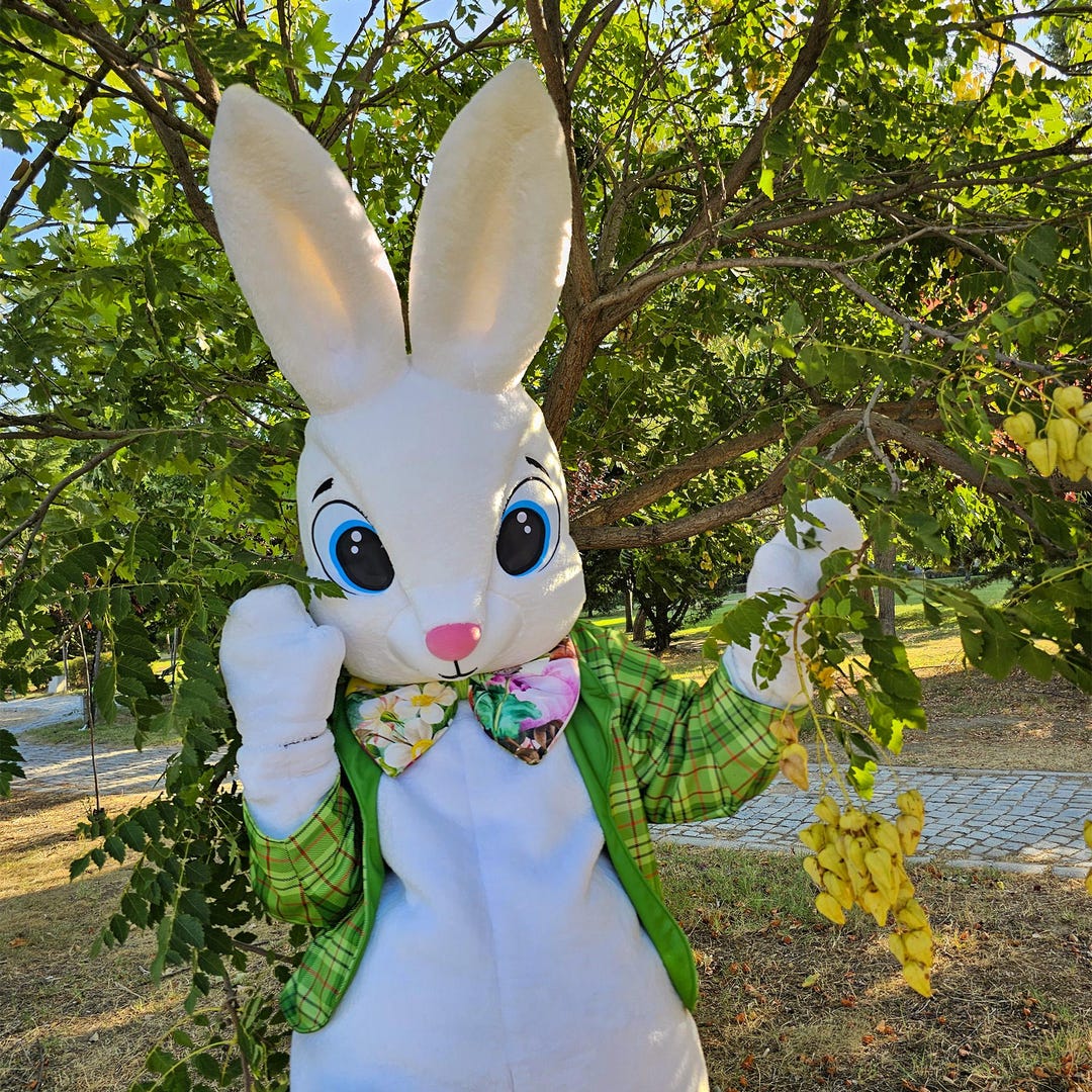 Easter Bunny Mascot Costume, Adult Mascot Costume, Party Mascot Costume ...