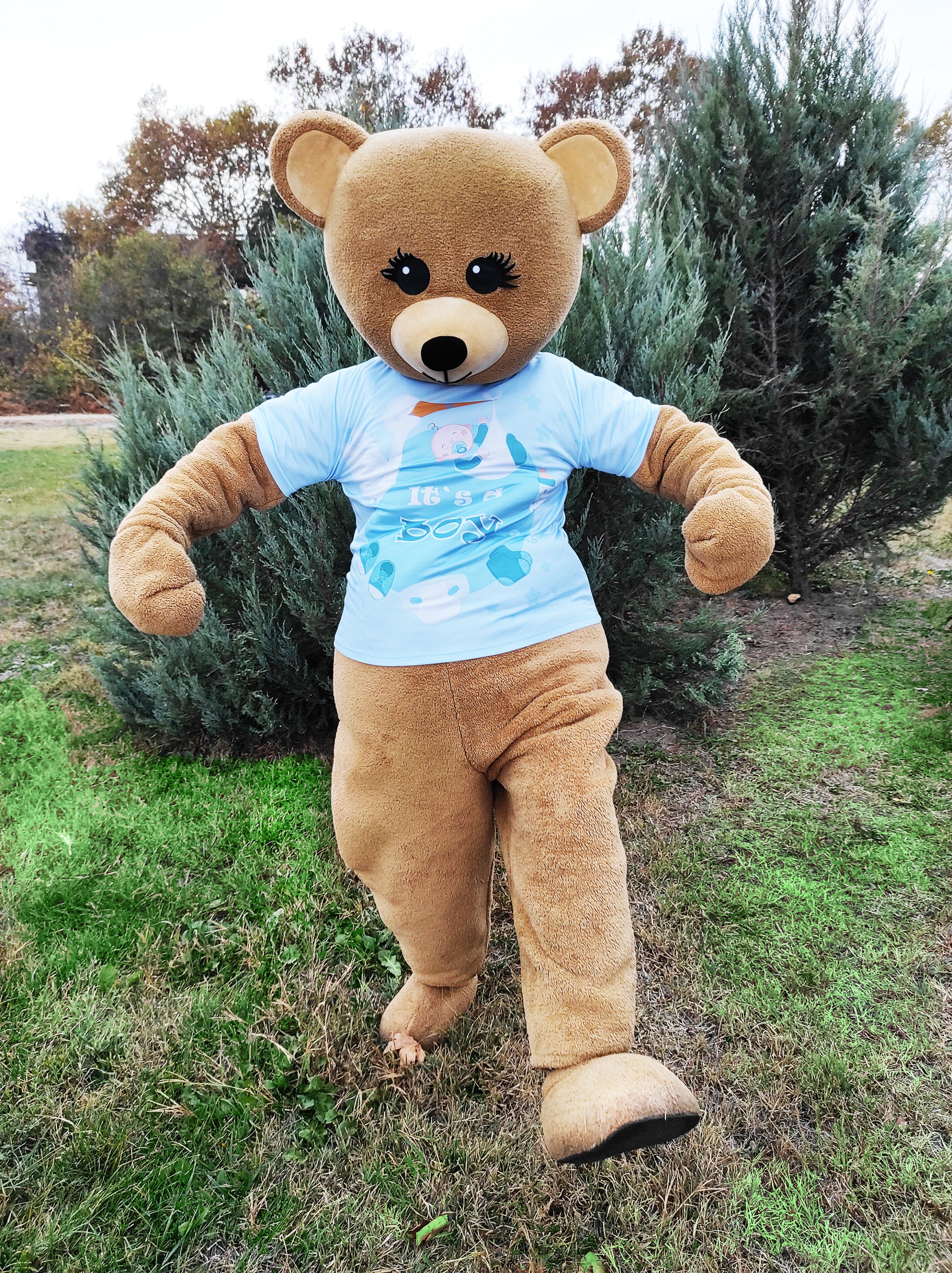 Teddy Bear Mascot Costume, Adult Mascot Costume, Party Mascot Costume ...