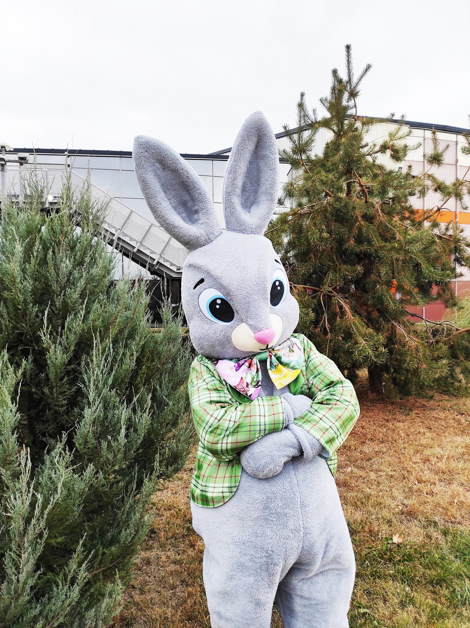 Easter Bunny Mascot Costume Adult Mascot Costume Party - Etsy