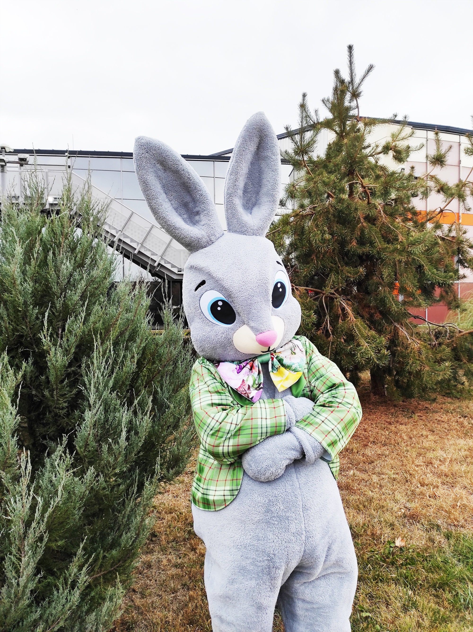 Easter Bunny Mascot Costume Adult Mascot Costume Party - Etsy