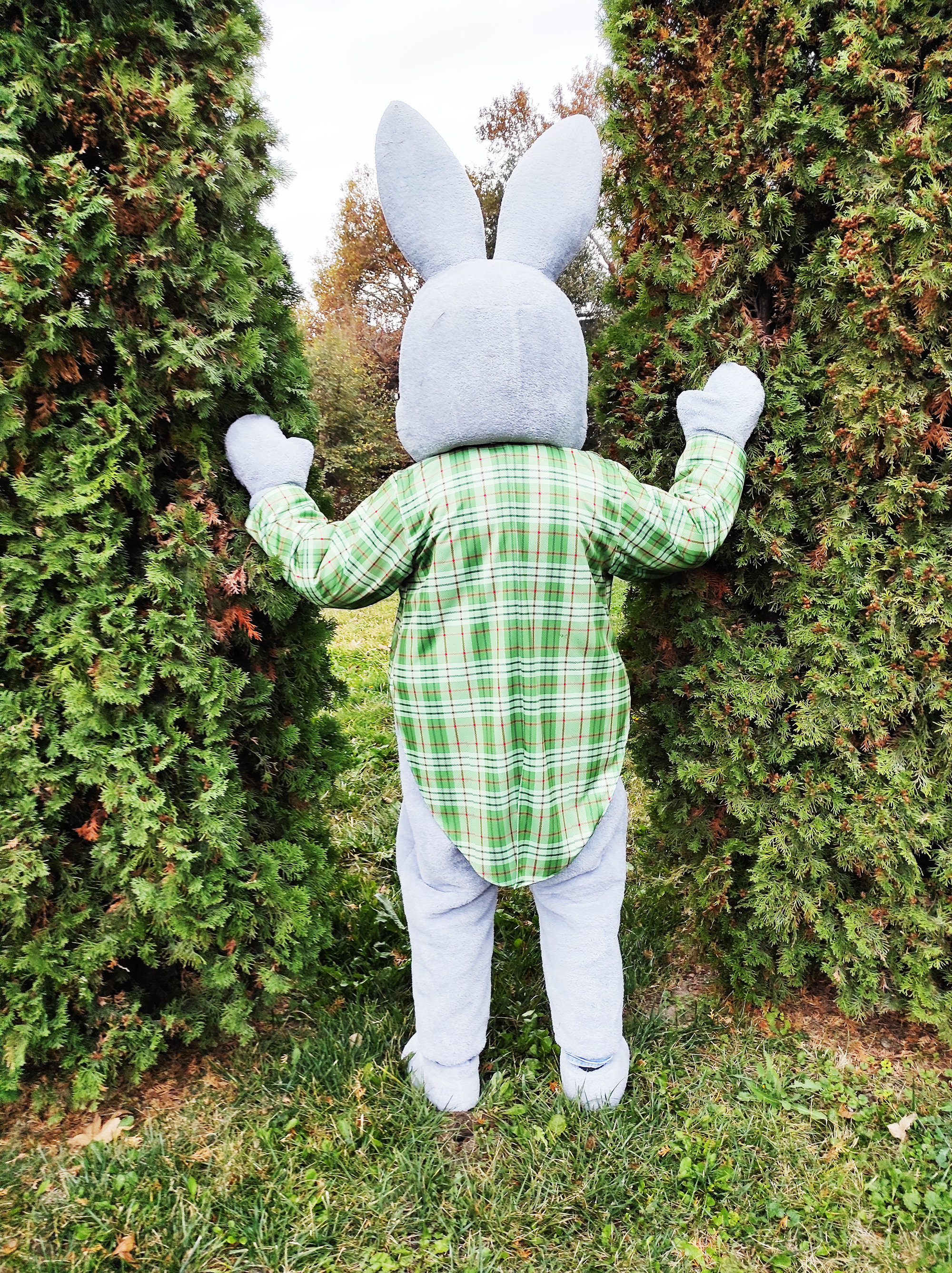 Easter Bunny Mascot Costume Adult Mascot Costume Party - Etsy