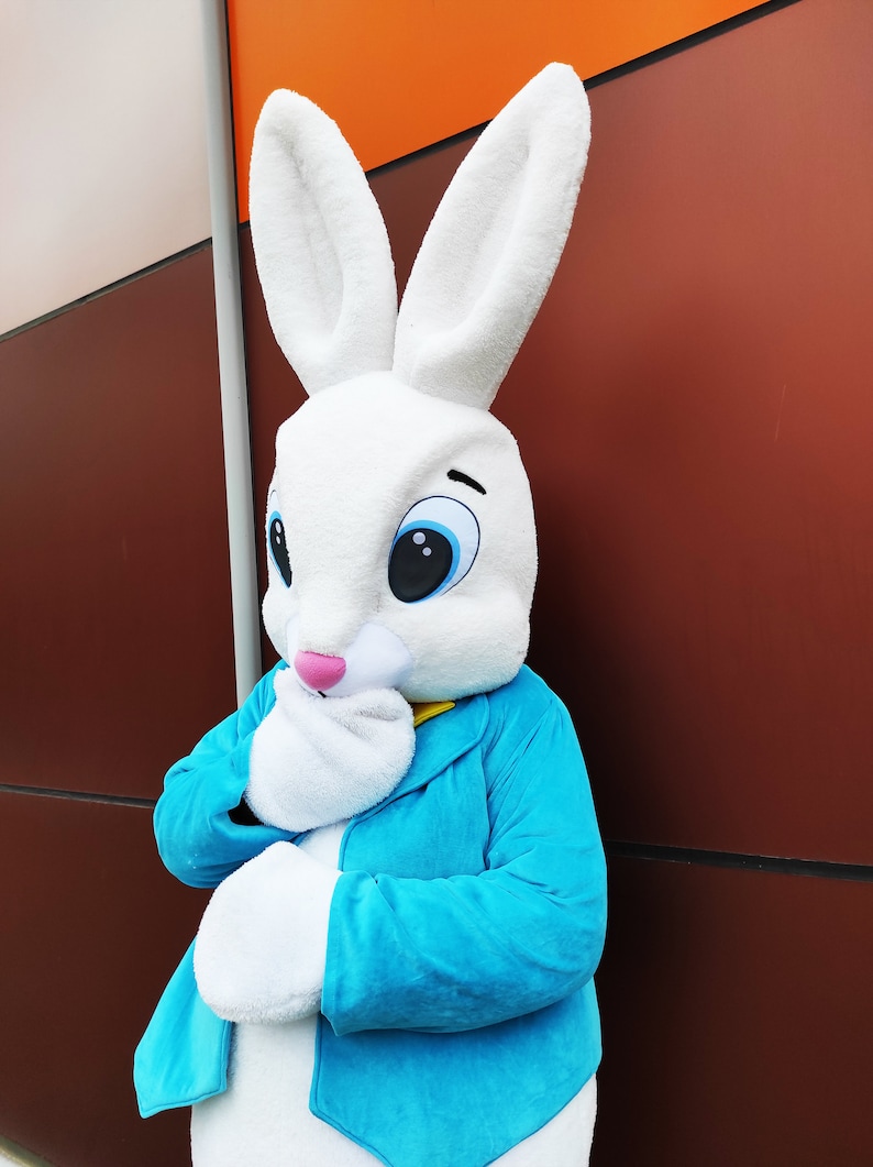 Easter Bunny Mascot Costume Adult Mascot Costume Party - Etsy