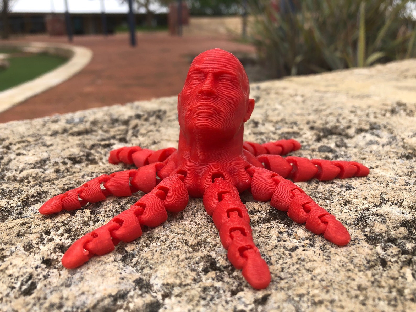 3D Printed Roctopus Dwayne Johnson Fidget Toy Stress - Etsy