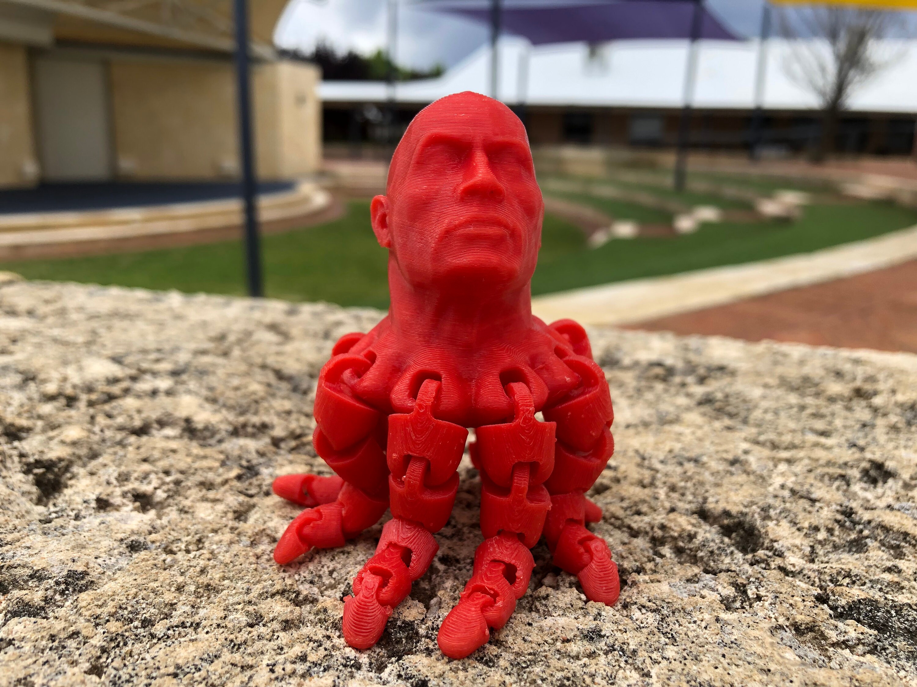 3D Printed Roctopus Fidget Toy, Desk Stress Relief - Etsy Australia