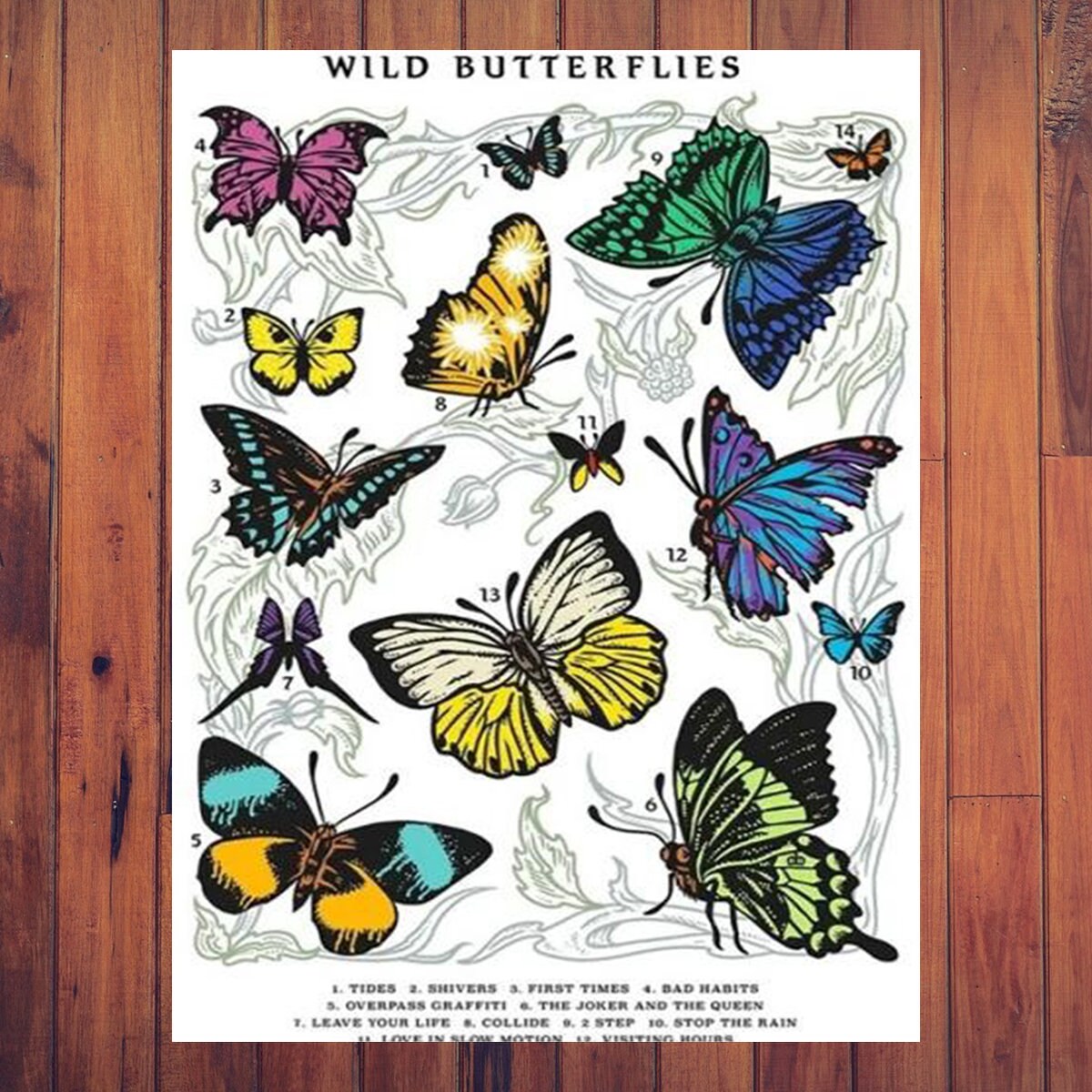 Wild Butterflies Mathematics Tour 2023 Poster, Mathematics Tour Merch ...