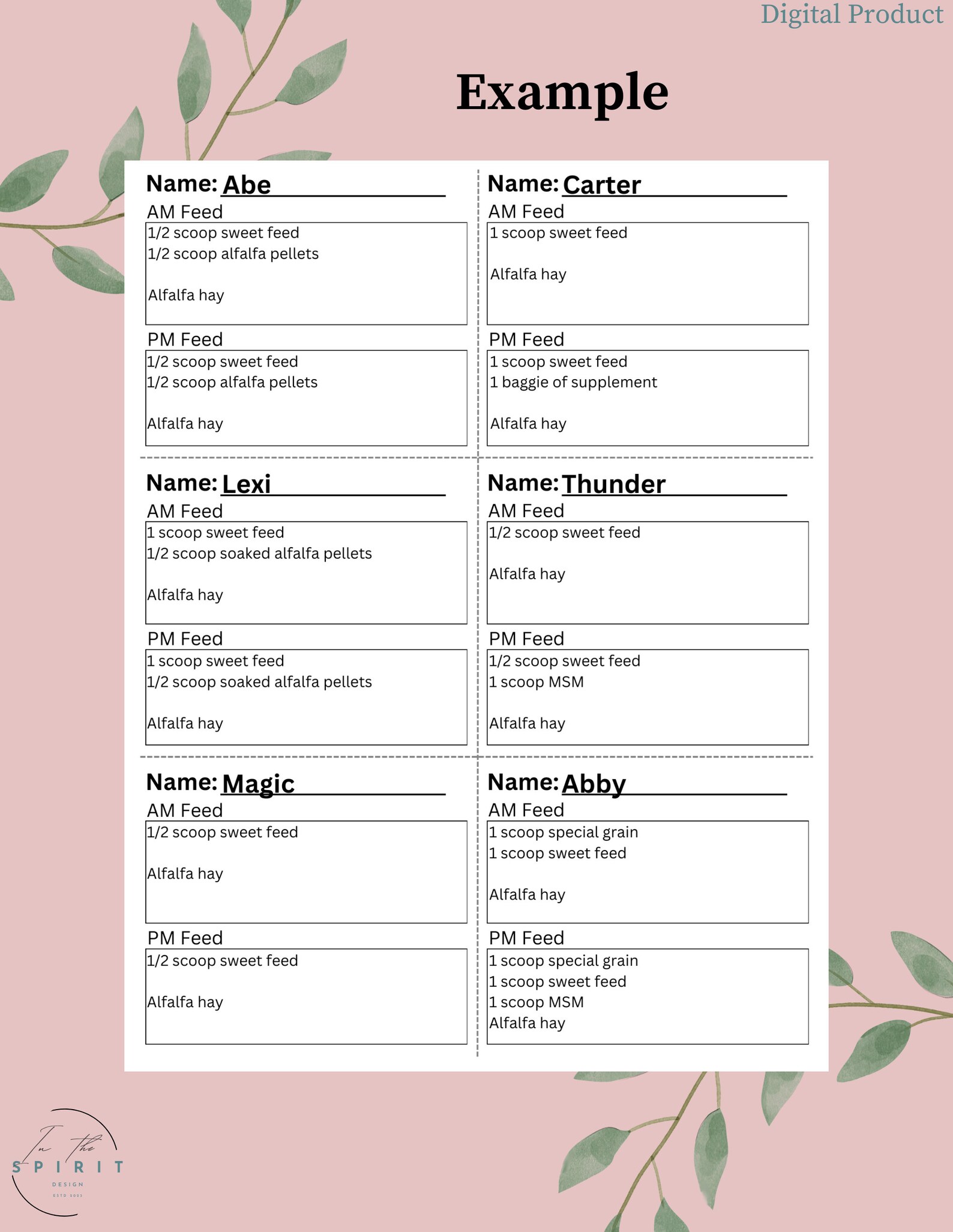Horse Stall Feed Chart 6 Spot simple - Etsy