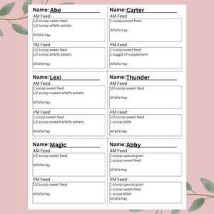 Horse Stall Feed Chart- 6 Spot (simple) - Etsy