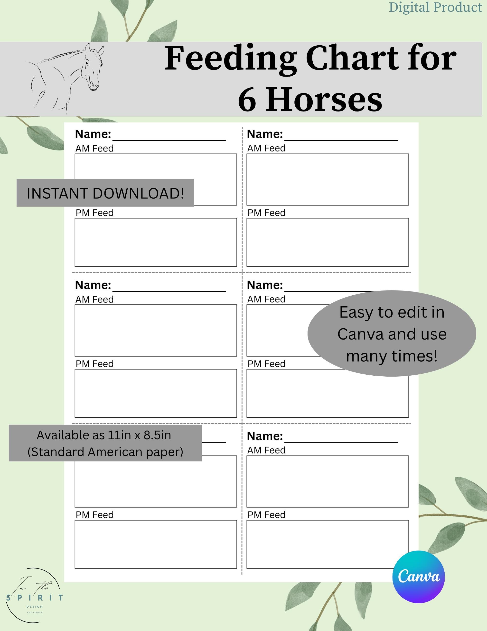 Horse Stall Feed Chart- 6 Spot (simple) - Etsy UK