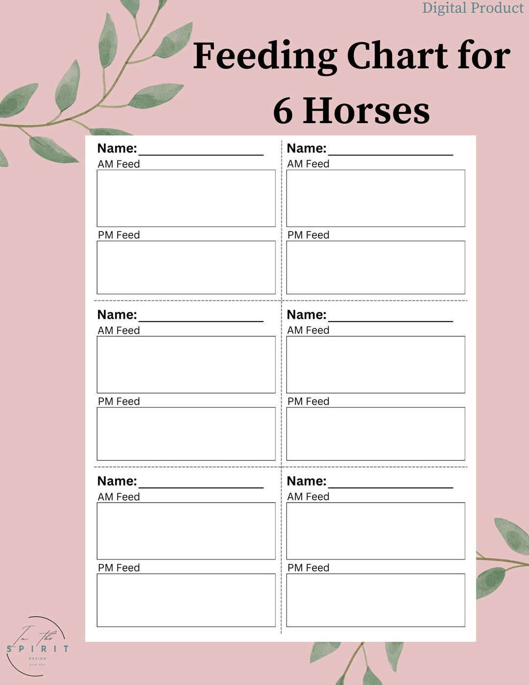 Horse Stall Feed Chart- 6 Spot (simple) - Etsy