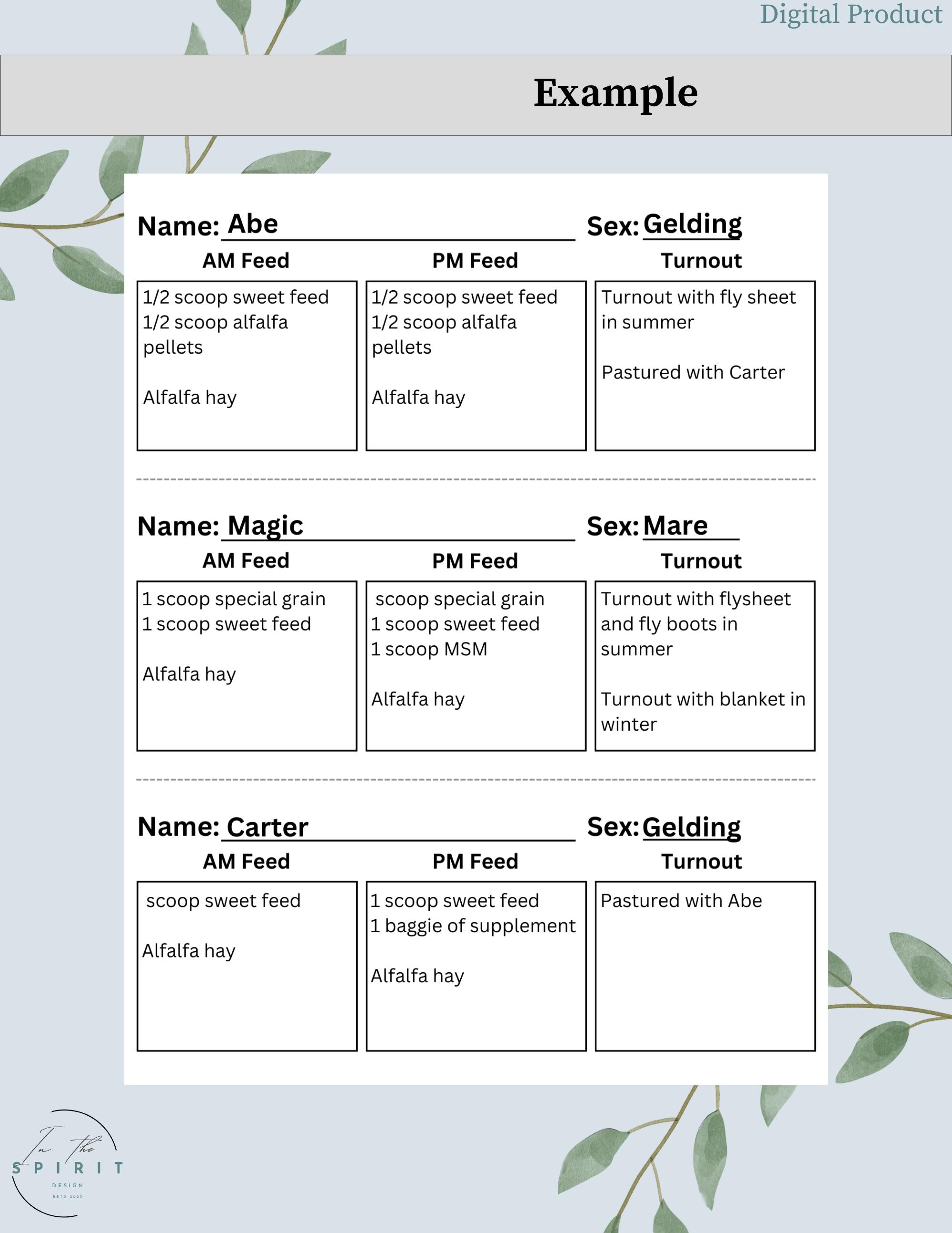 Horse Stall Feed and Turnout Charts (3/page) - Etsy