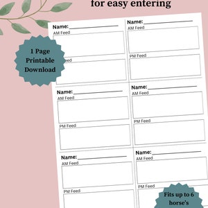 Horse Stall Feed Chart- 6 Spot (simple) - Etsy