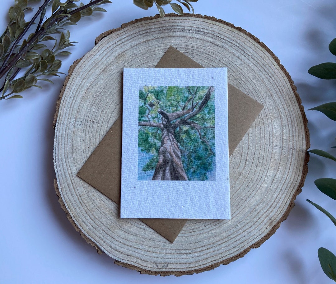 Up in the Tree Card, Soul Soothing Woodland Notelet, Lush Seed Paper ...