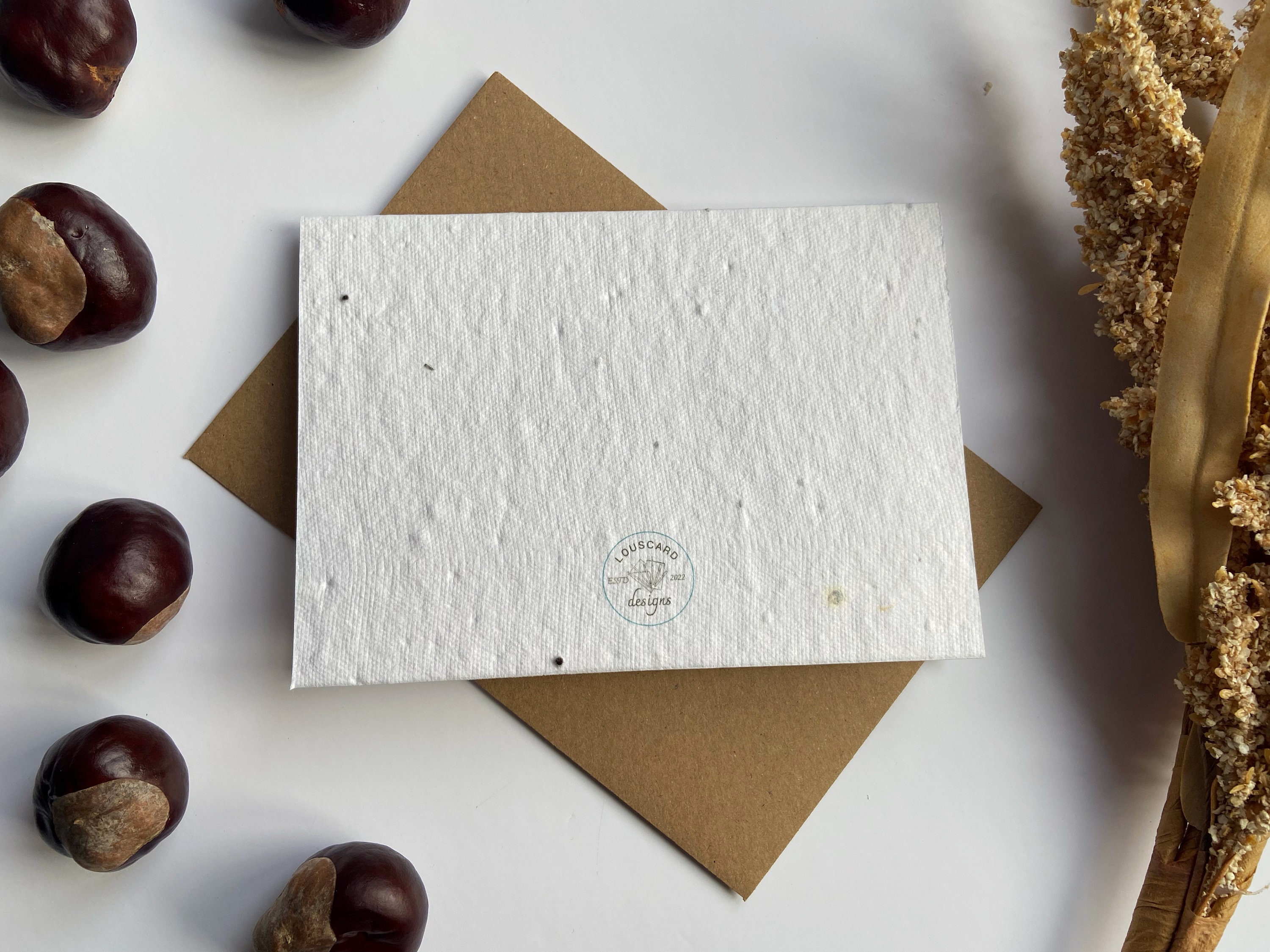 Conker Life Cycle Original Art Card/ Autumn Coloured Pencil Drawing ...