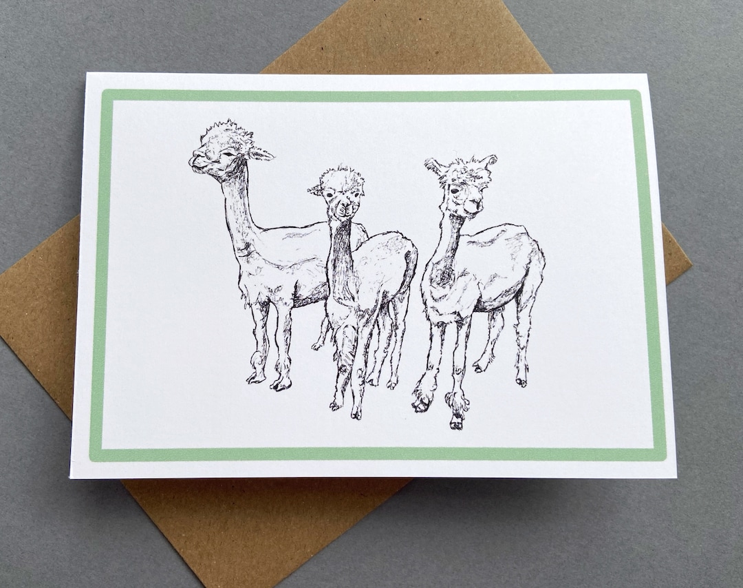 Alpacas in Ink Card, Funny Llamas Drawing, Lockdown Haircut Silly ...