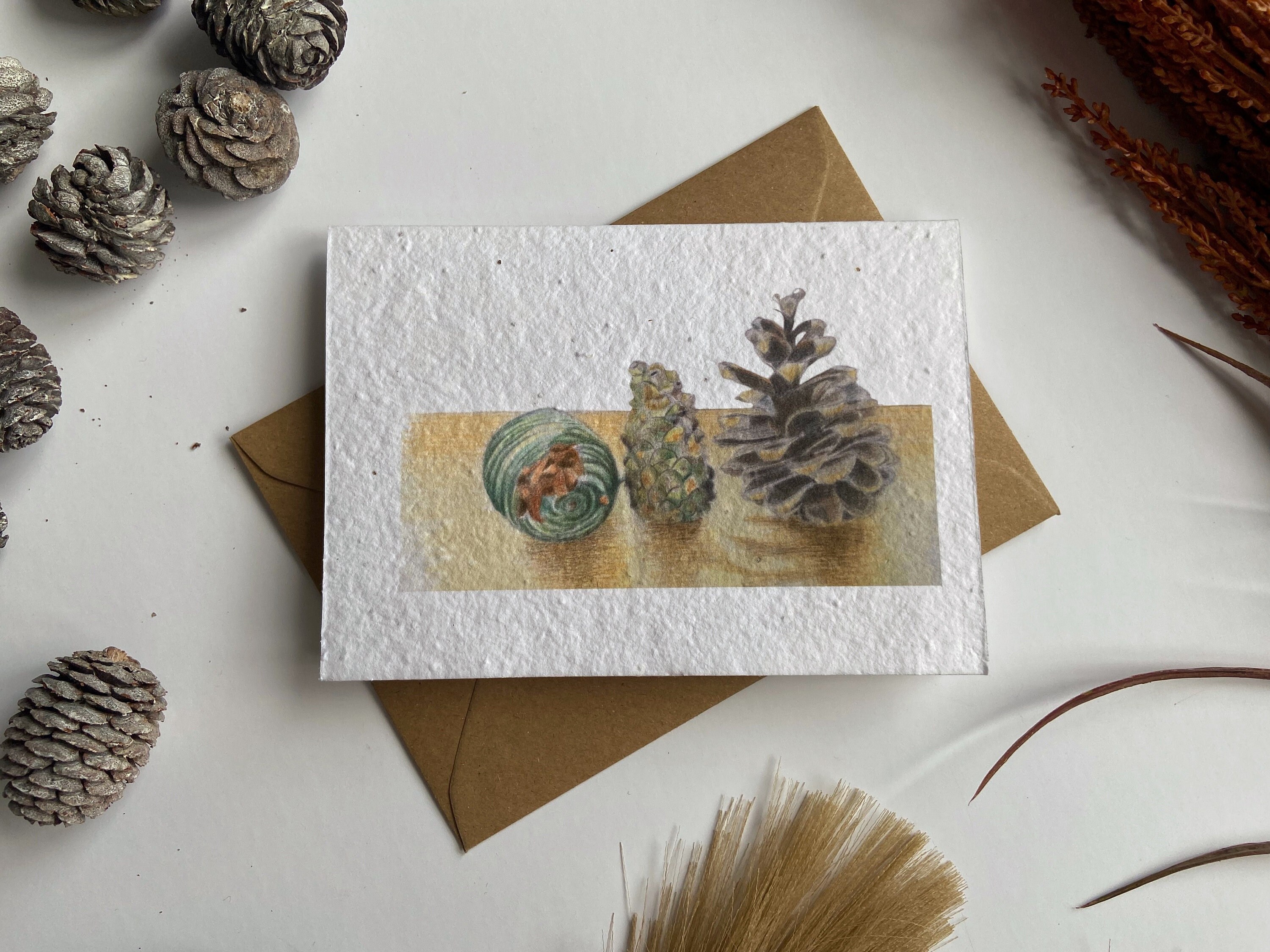 Pine Cone Life Cycle. Nature Card. Handmade. Plantable Wildflower ...