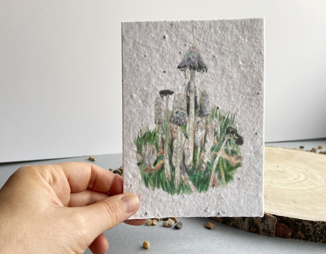 Tall Mushroom Card/ Wild Natural Toadstool Gift/ Organic - Etsy