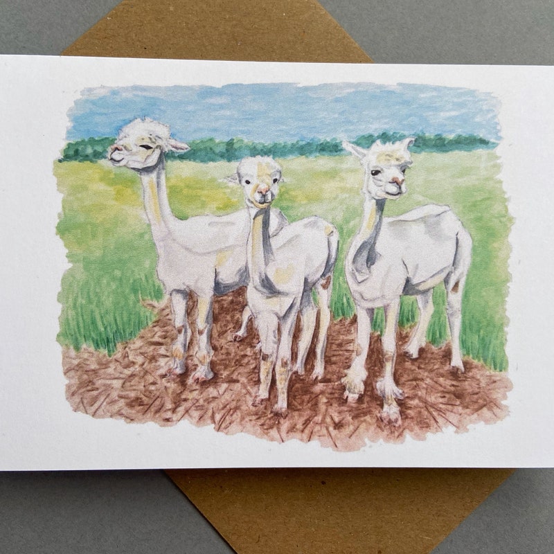 Alpaca Card - Etsy UK