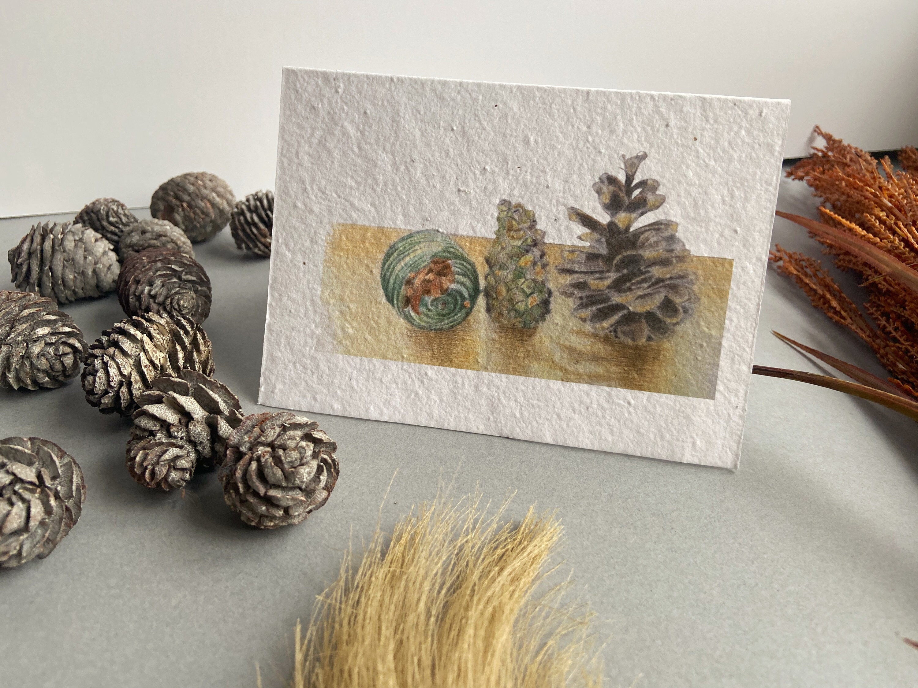Pine Cone Life Cycle. Nature Card. Handmade. Plantable - Etsy