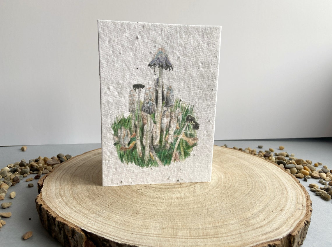 Tall Mushroom Card/ Wild Natural Toadstool Gift/ Organic - Etsy