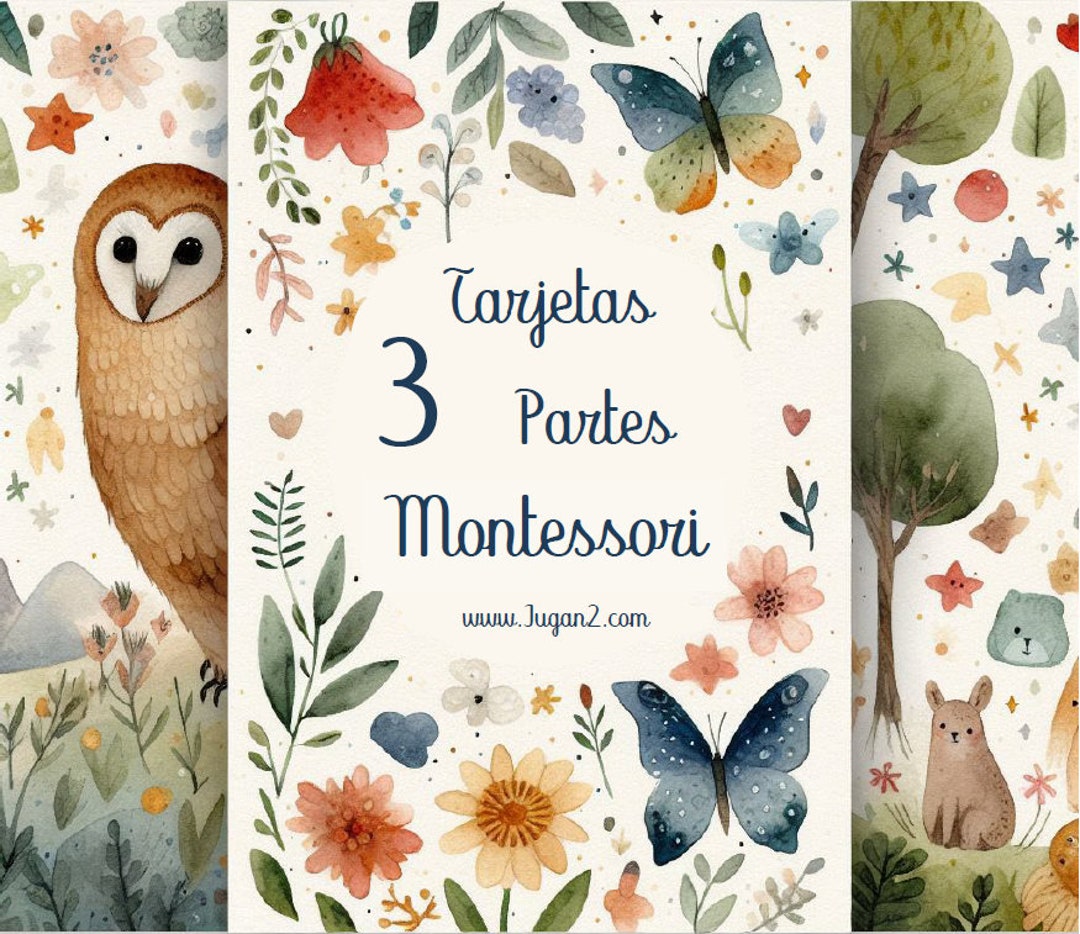 Montessori 3-part Cards in Spanish and English - Etsy