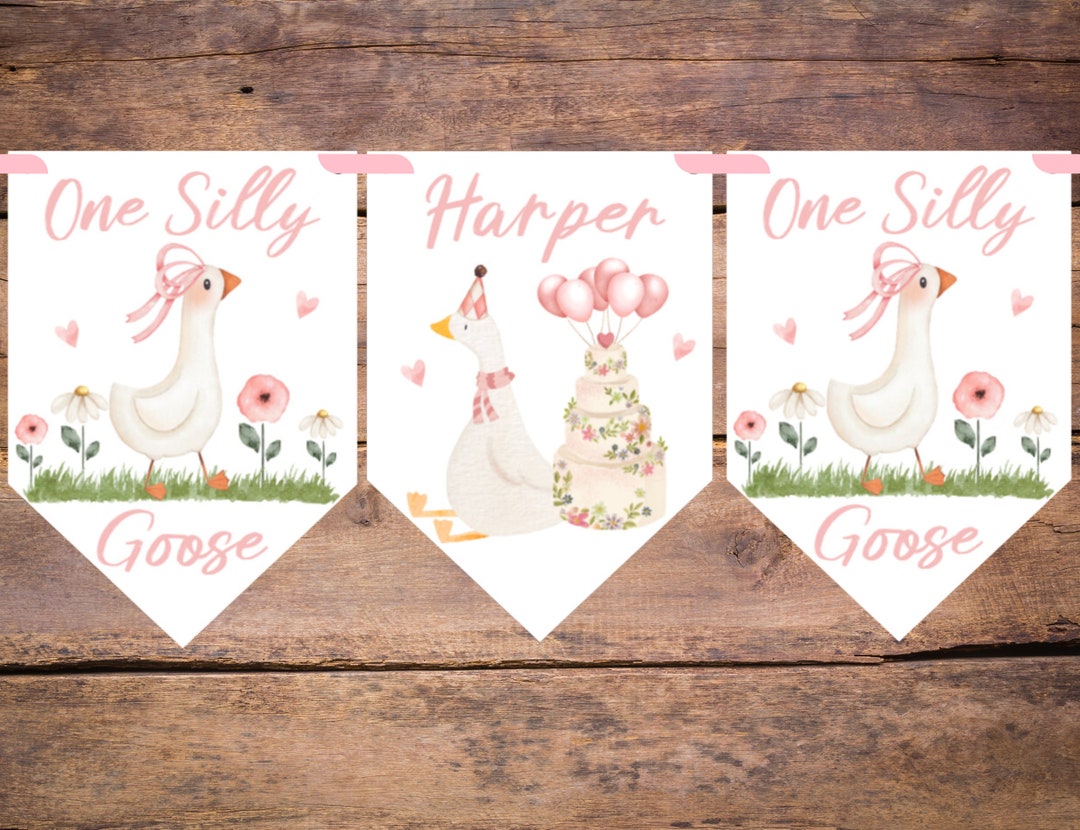 Personalised One Silly Goose Pink or Blue Birthday Bunting Banner ...