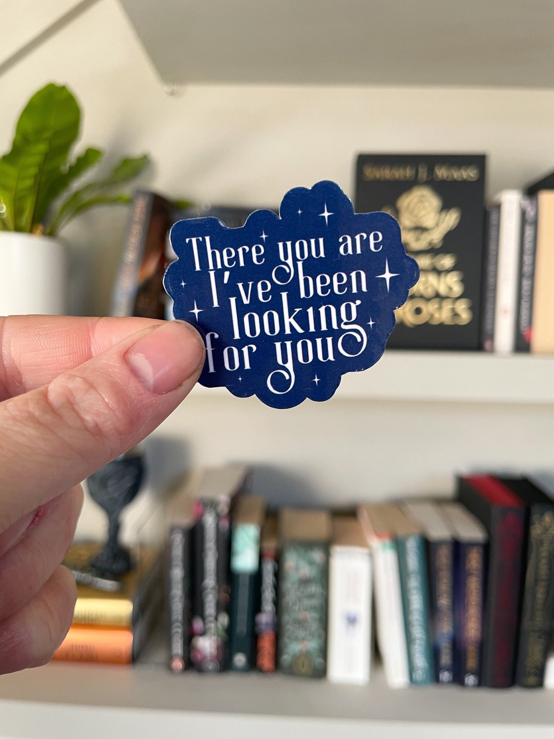There You Are I've Been Looking for You Sticker | Sarah J Maas Universe ...