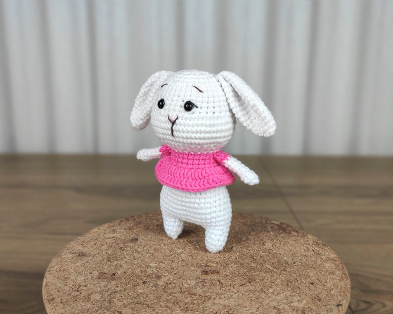Cute Bunny Crochet Pattern / Amigurumi Tutorial / PDF Digital - Etsy